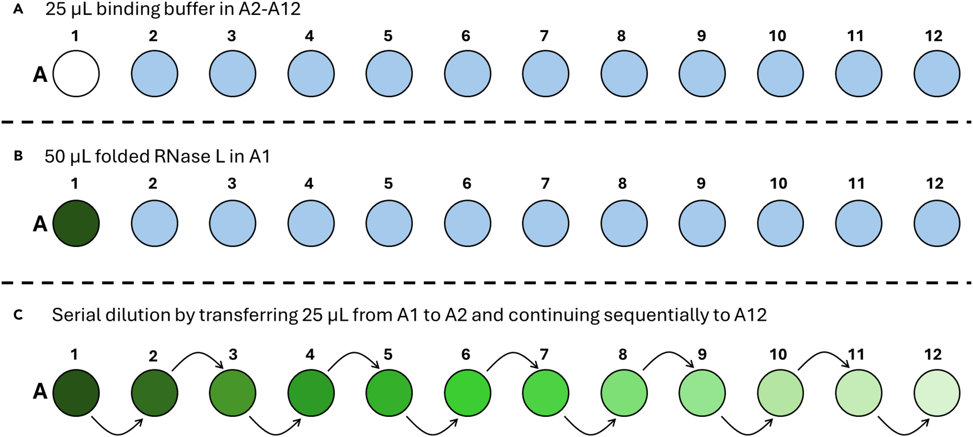 Cell Press: STAR Protocols