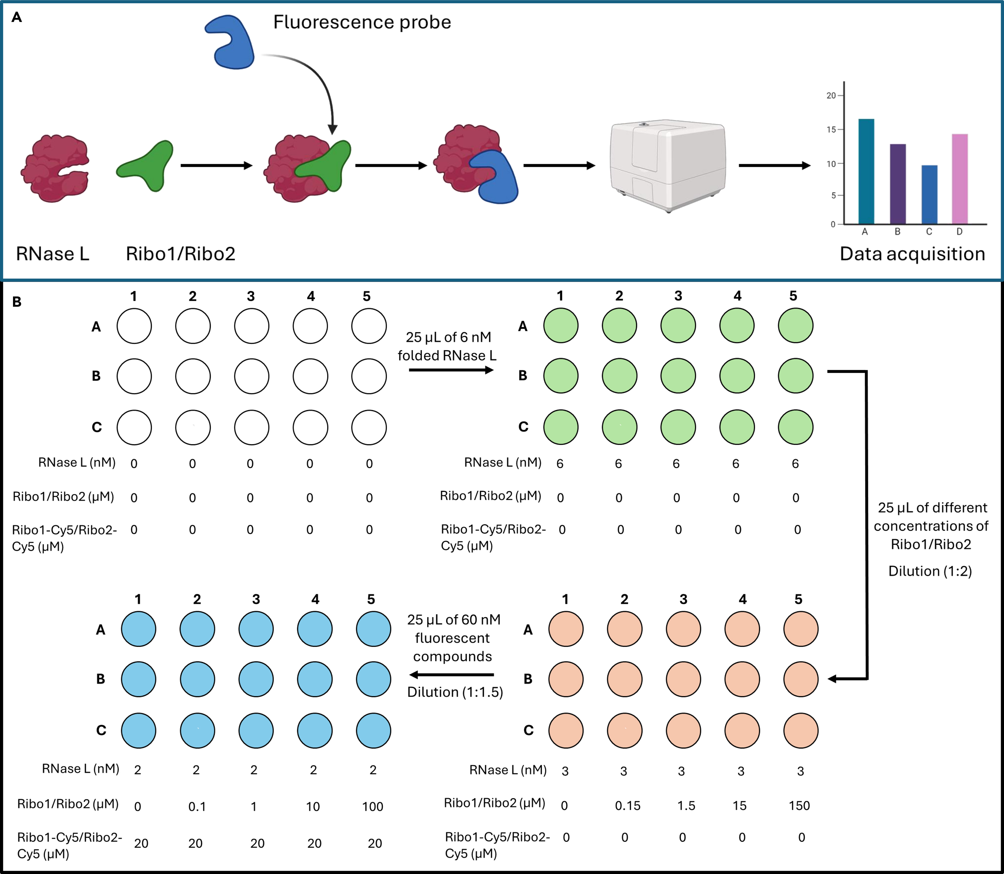 Cell Press: STAR Protocols