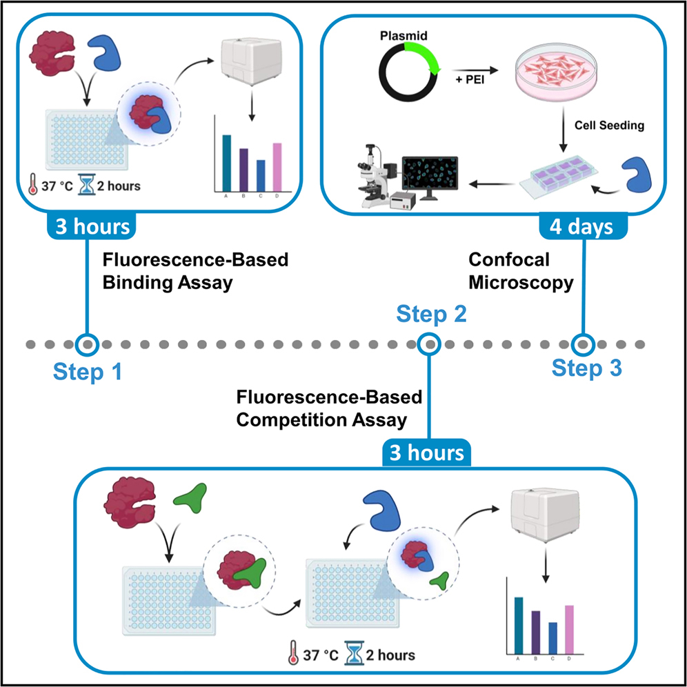 Cell Press: STAR Protocols