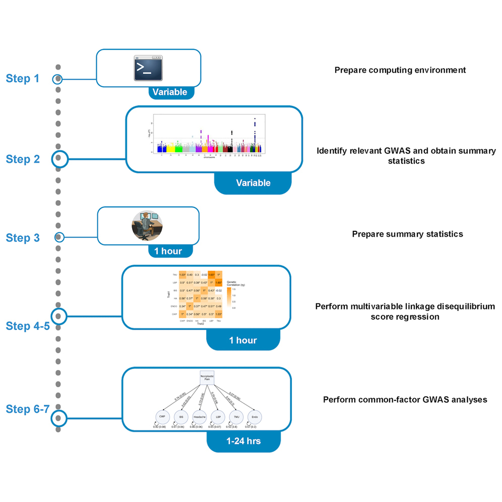 Cell Press: STAR Protocols