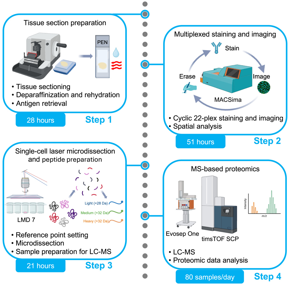 Cell Press: STAR Protocols