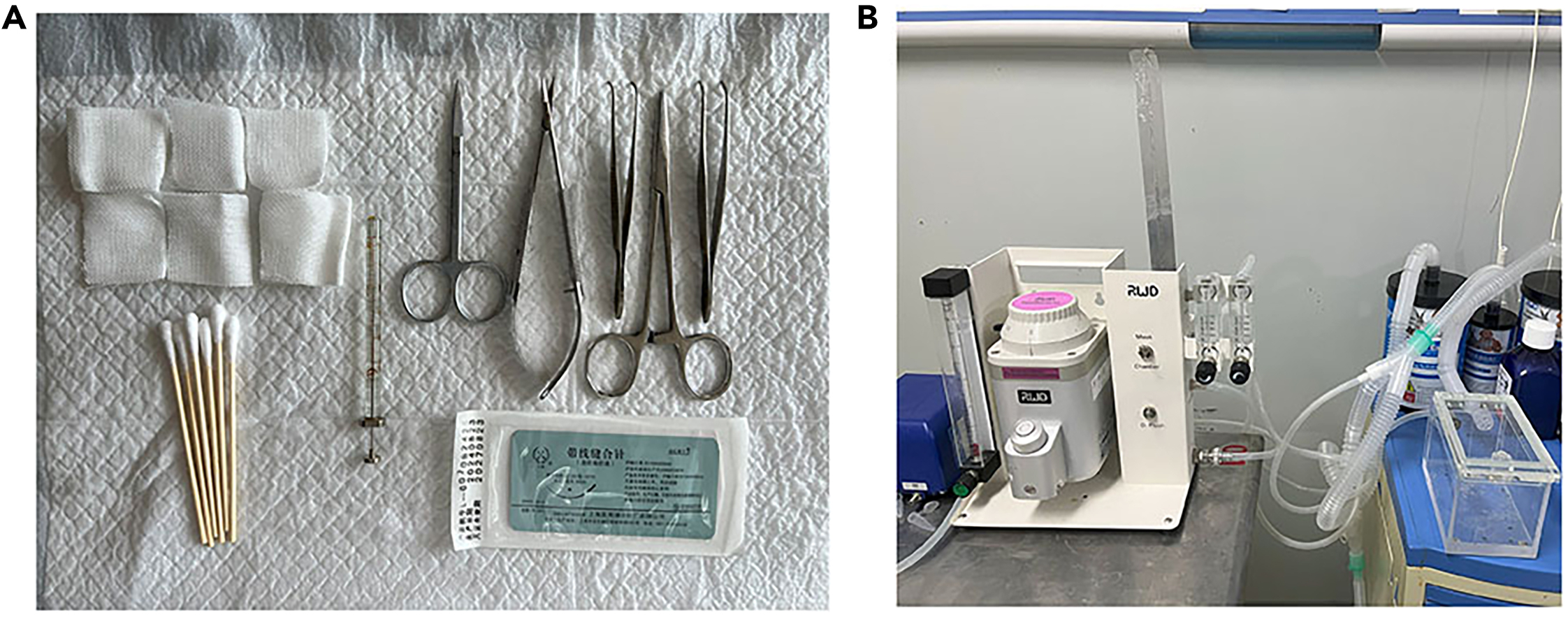 Cell Press: STAR Protocols