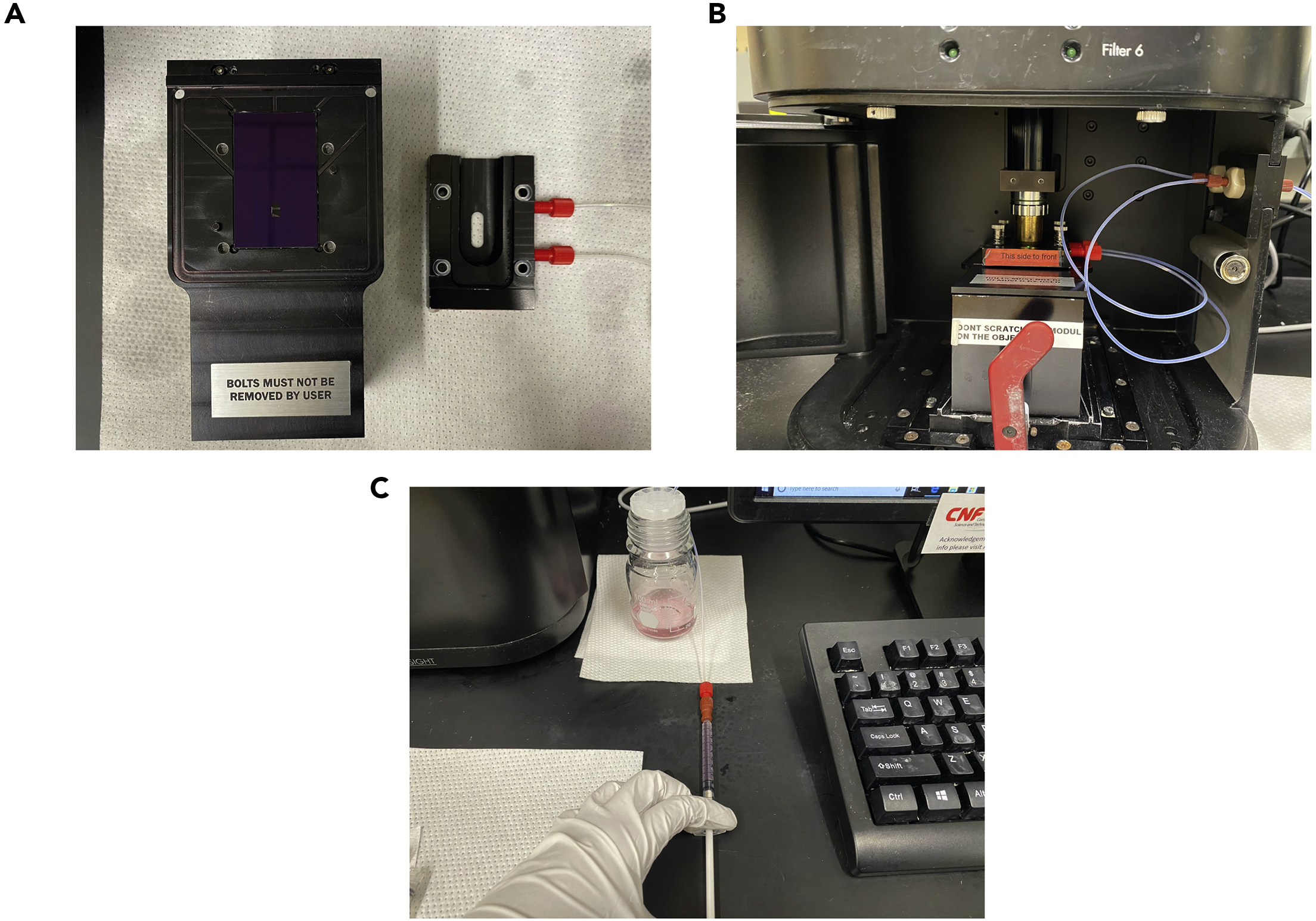 Cell Press: STAR Protocols