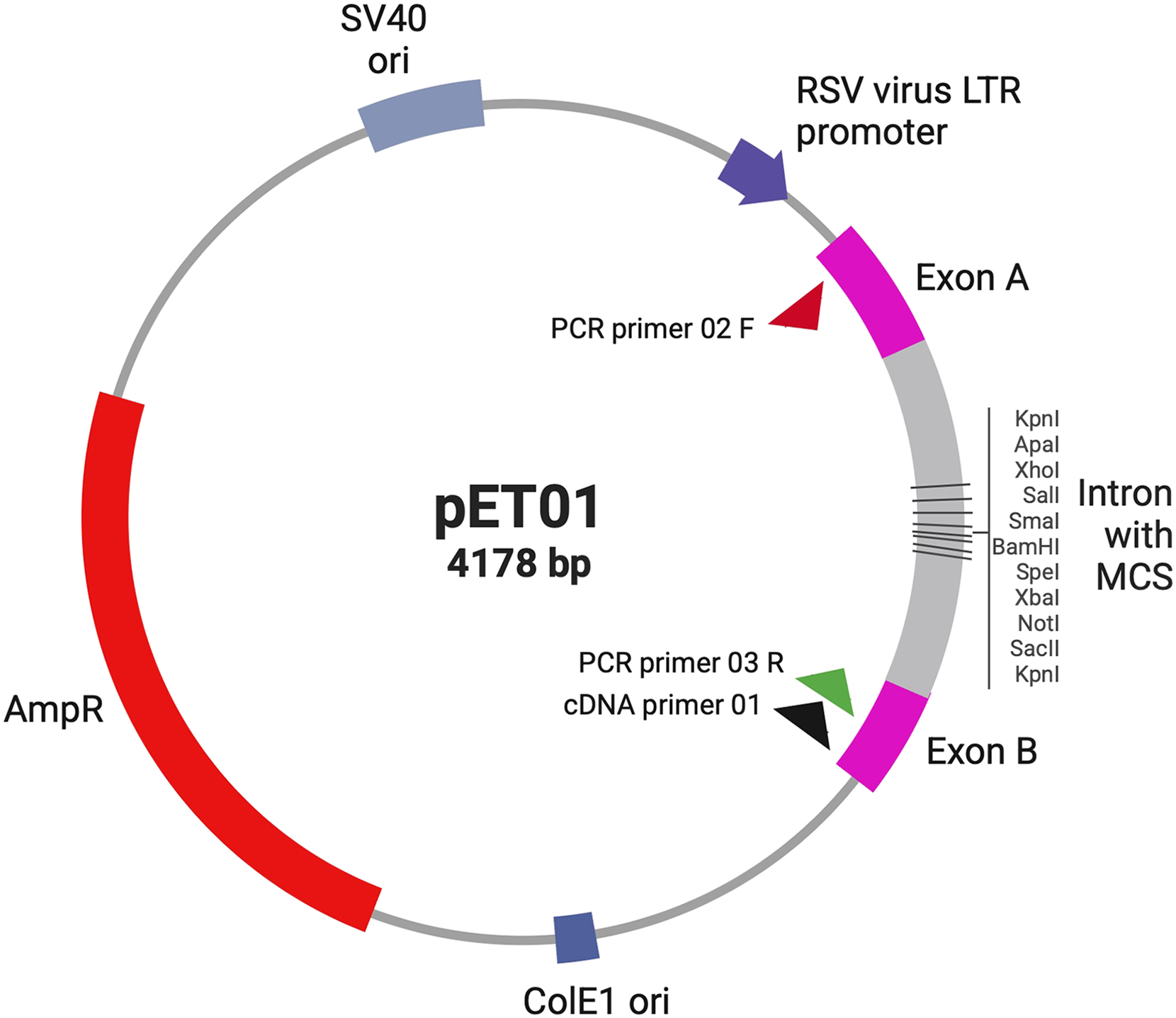 Cell Press: STAR Protocols