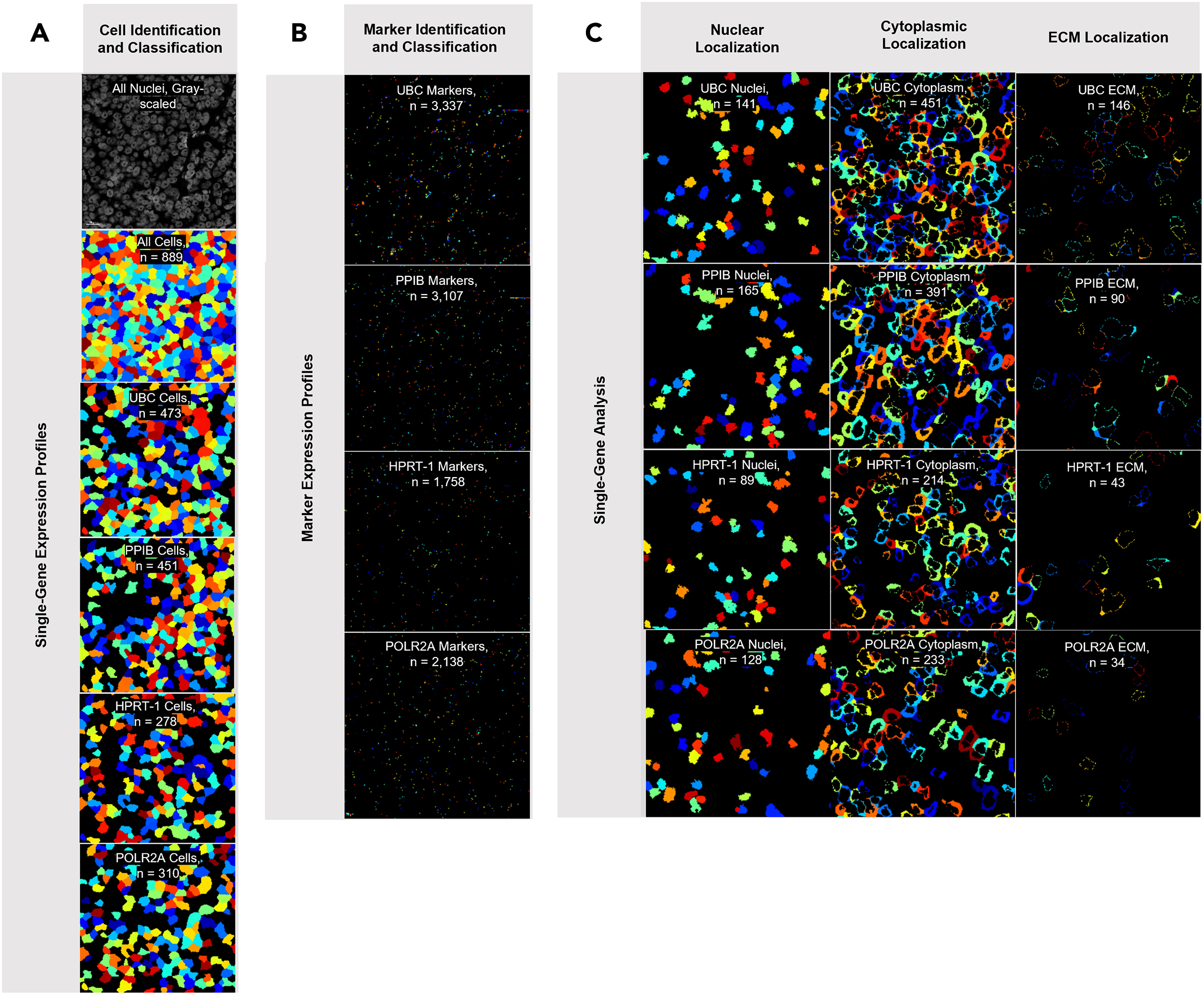 Cell Press: STAR Protocols