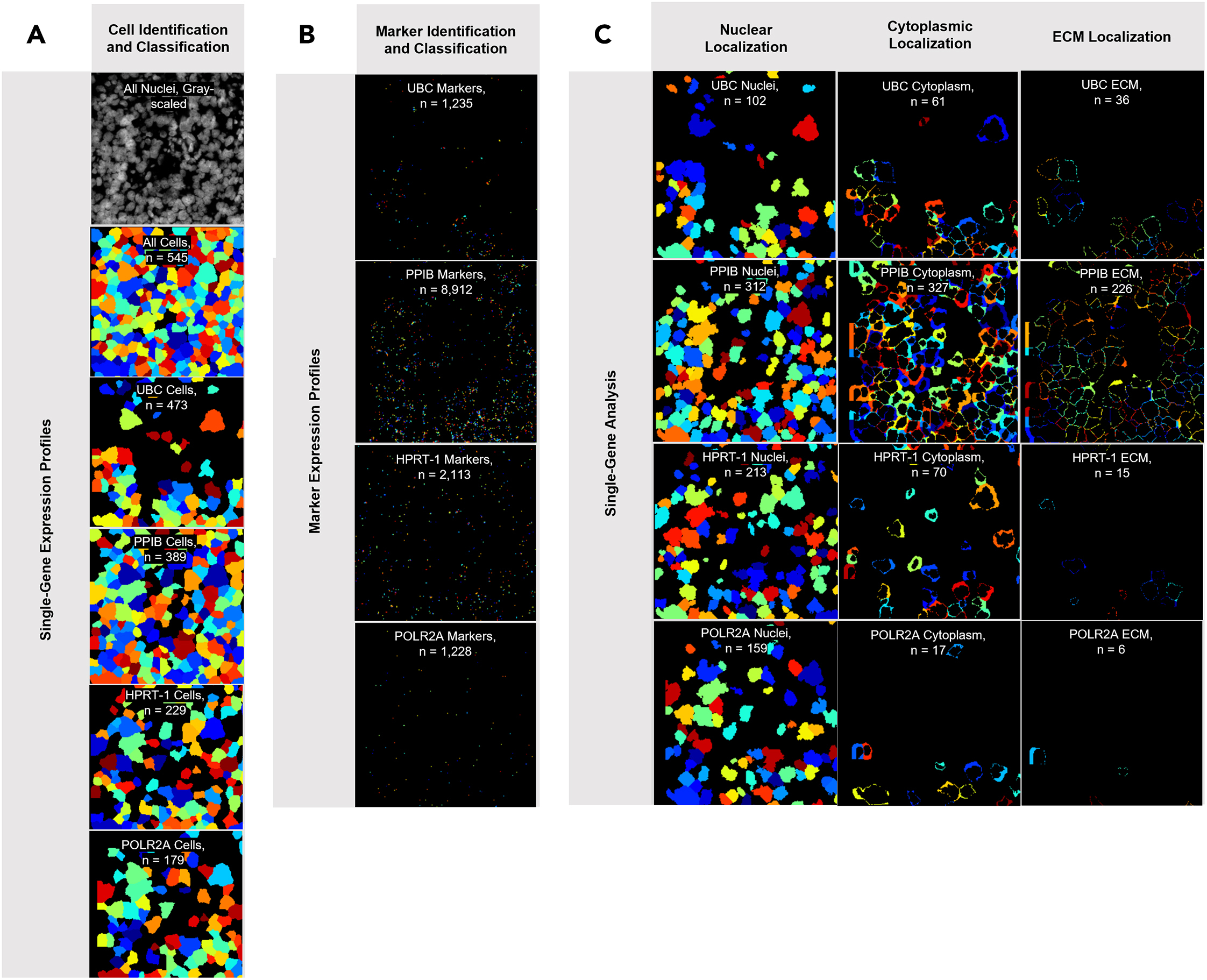 Cell Press: STAR Protocols