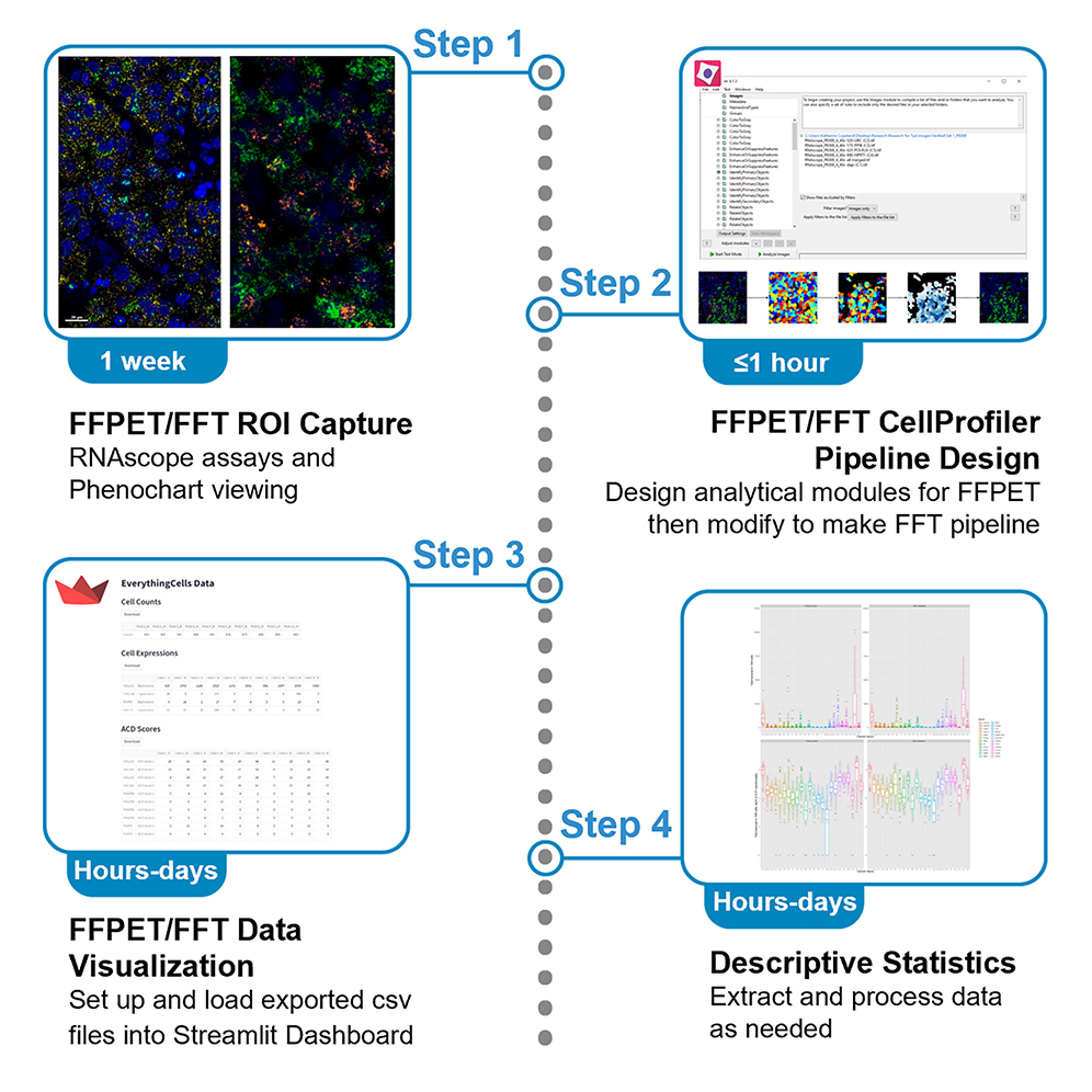 Cell Press: STAR Protocols