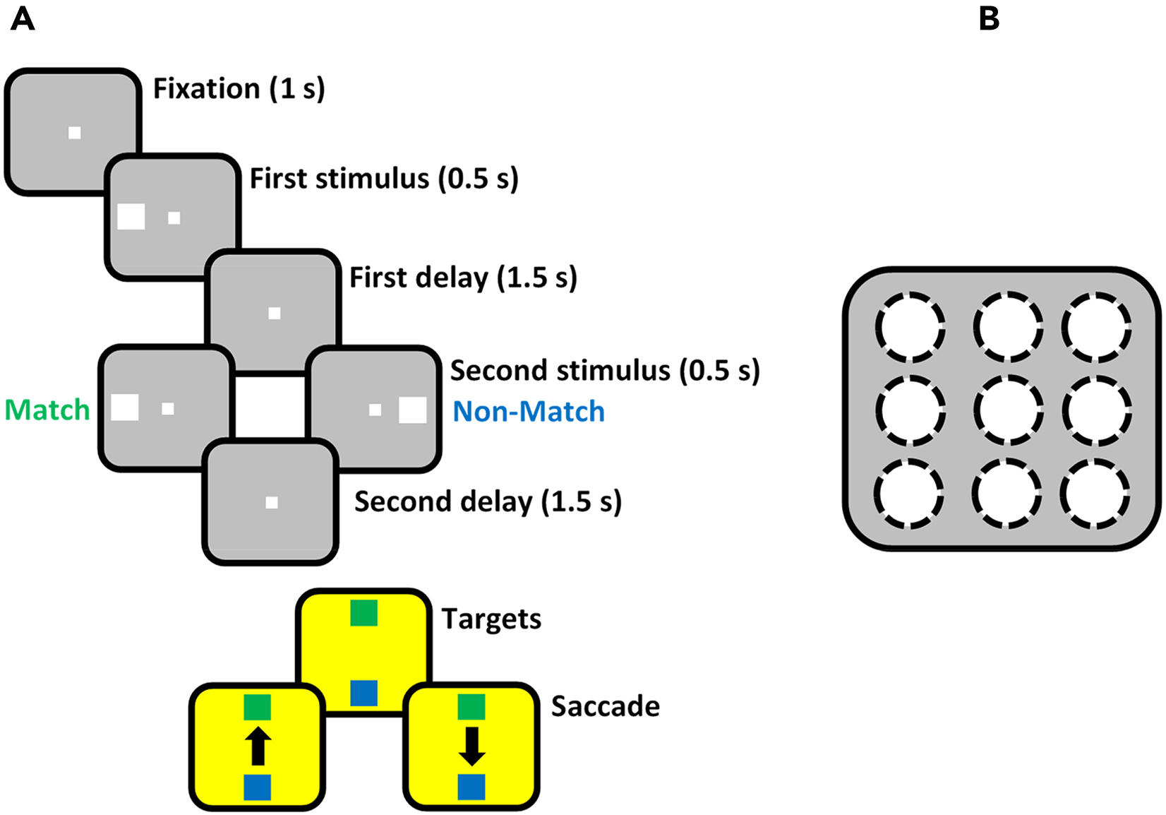 Cell Press: STAR Protocols