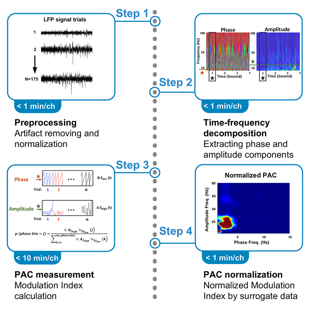 Cell Press: STAR Protocols