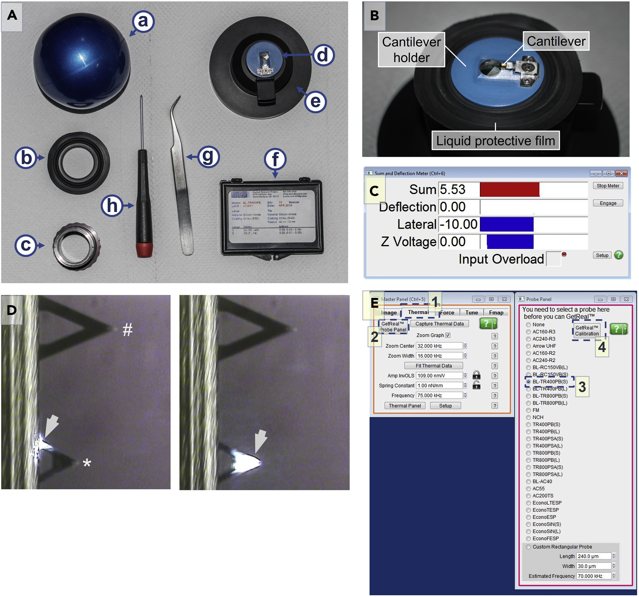 Cell Press: STAR Protocols