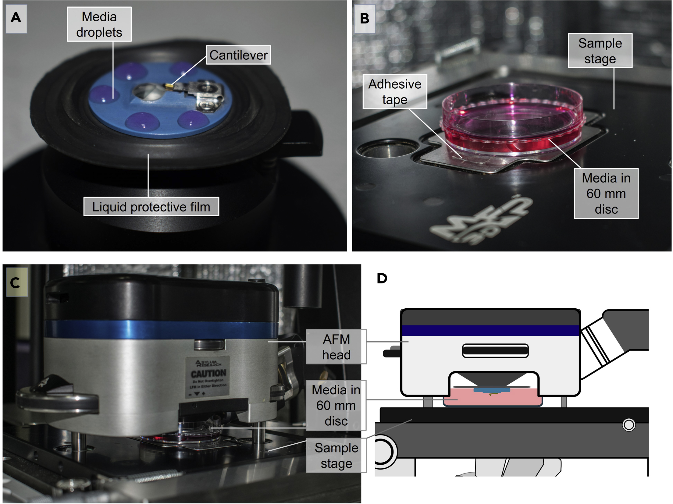 Cell Press: STAR Protocols