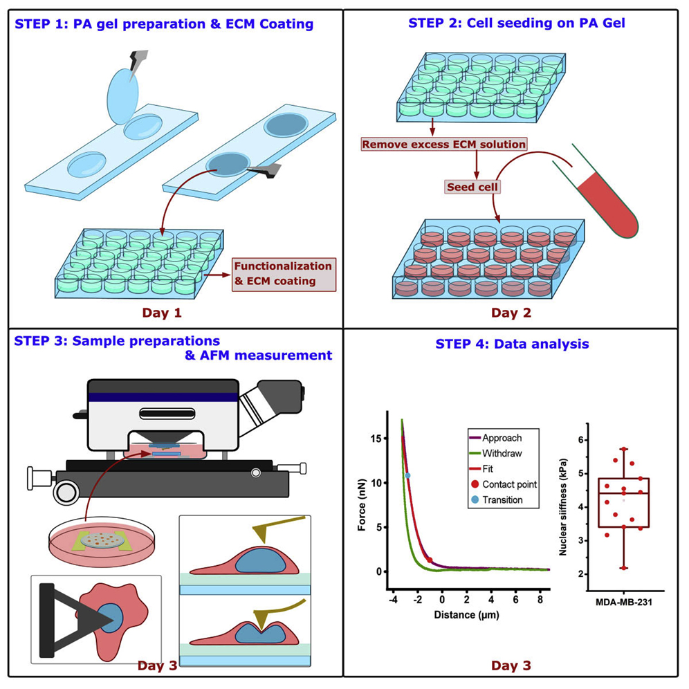 Cell Press: STAR Protocols