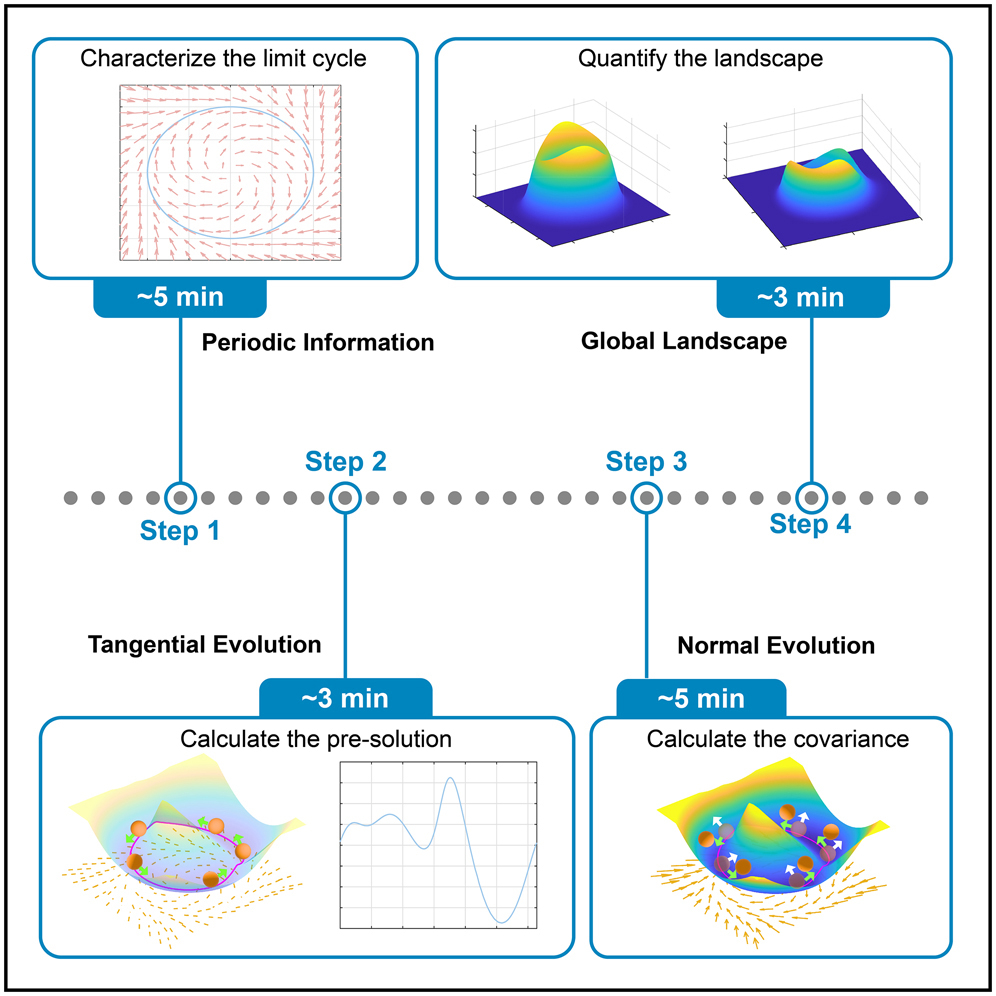 Cell Press: STAR Protocols