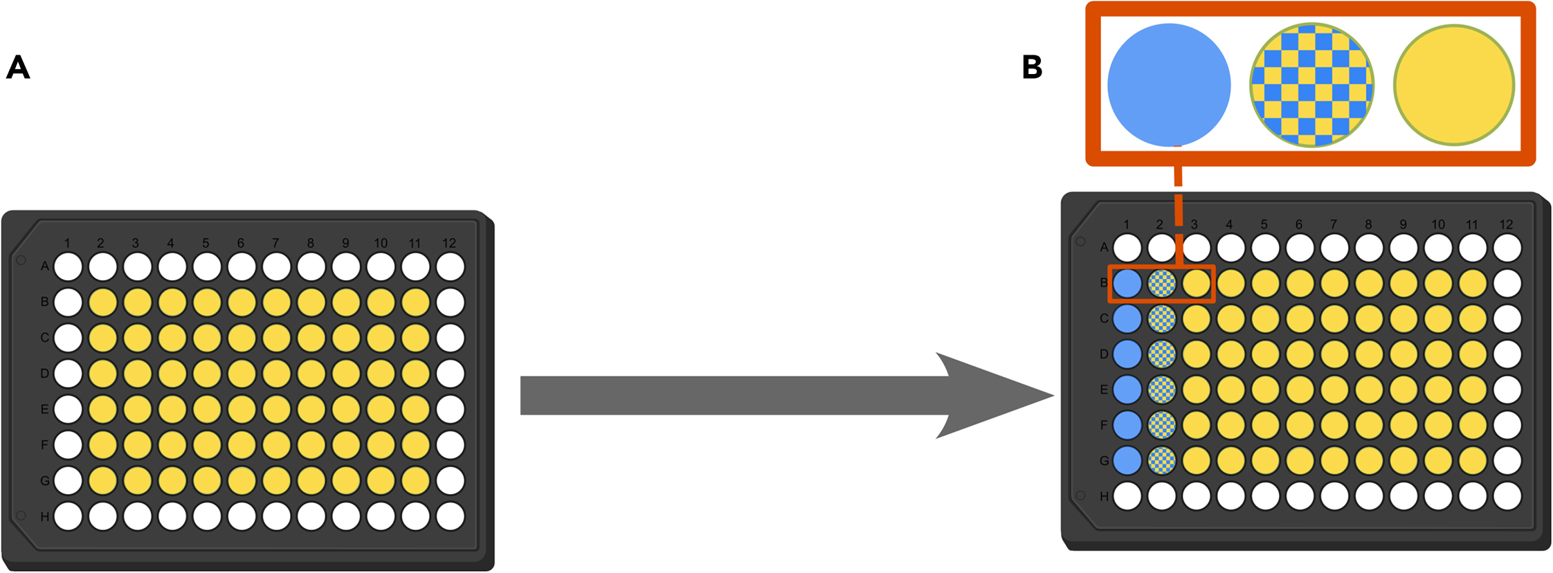 Cell Press: STAR Protocols