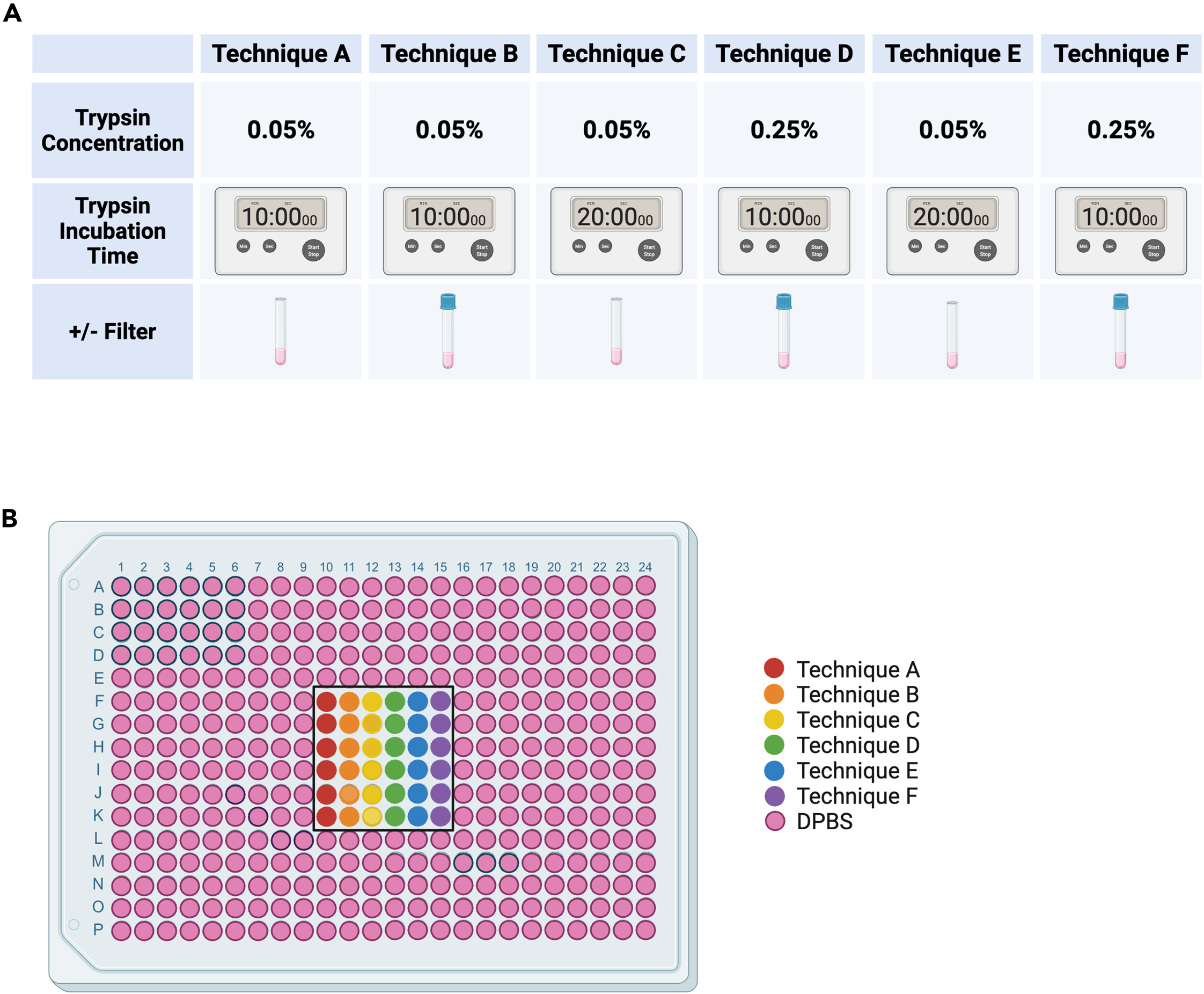 Cell Press Star Protocols