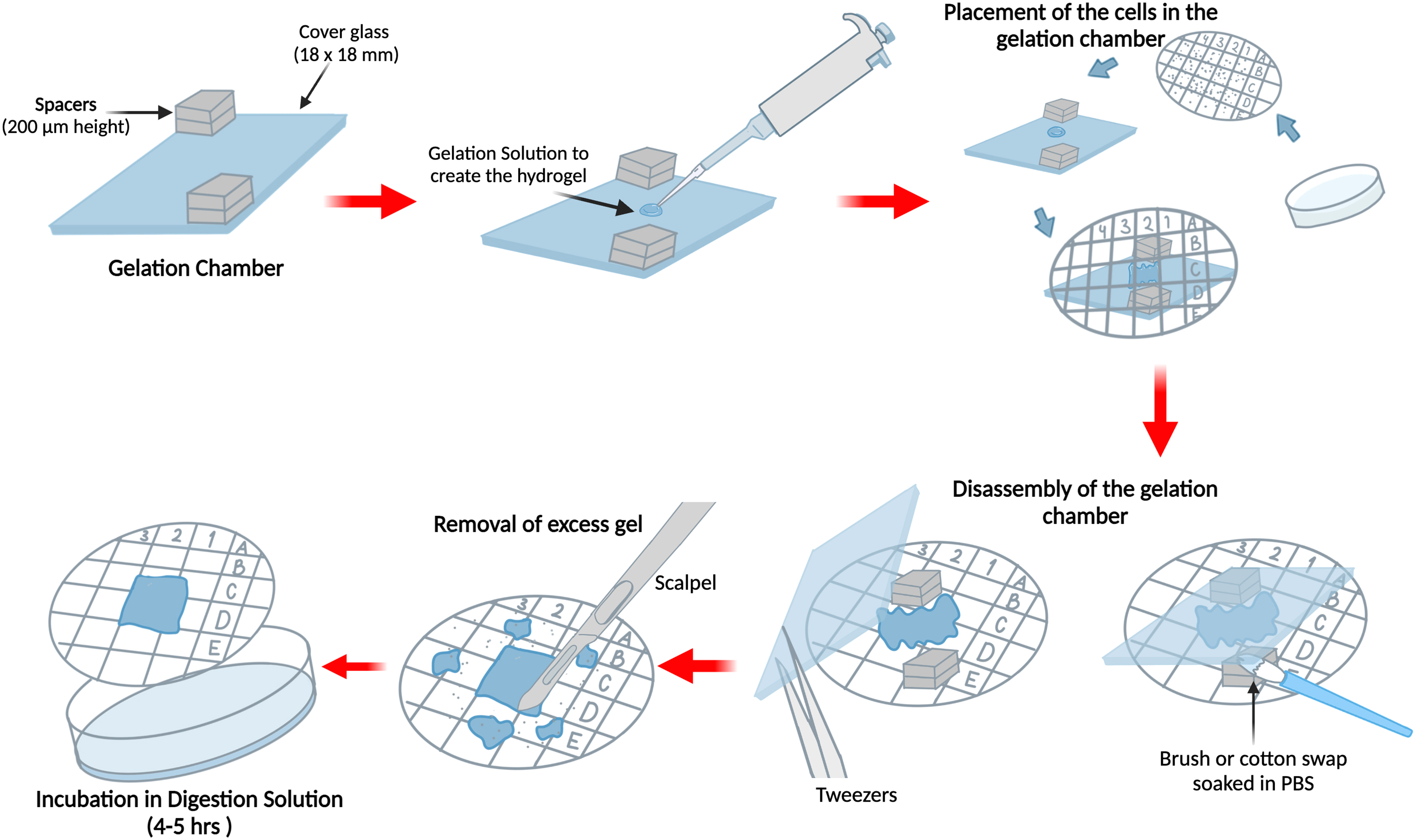 Cell Press: STAR Protocols