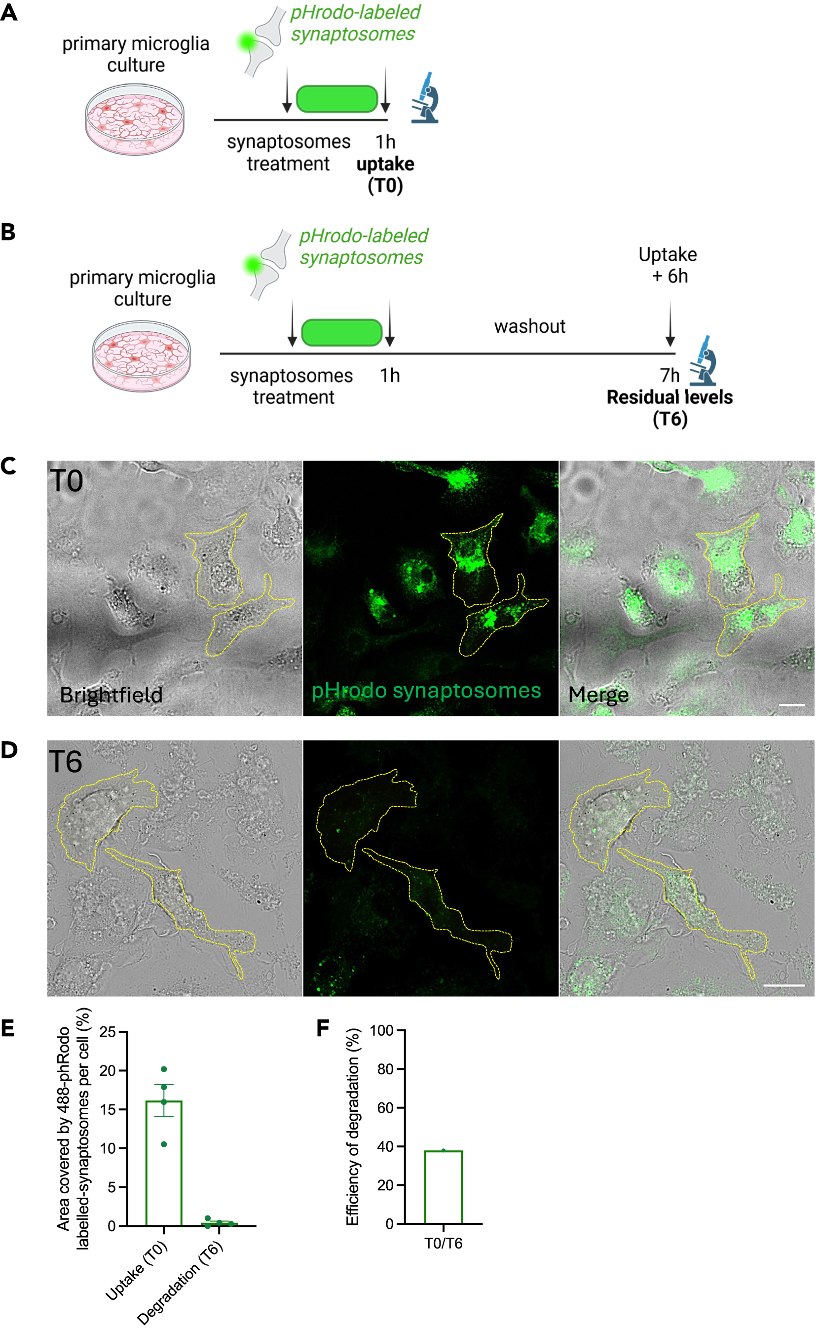 Cell Press: STAR Protocols