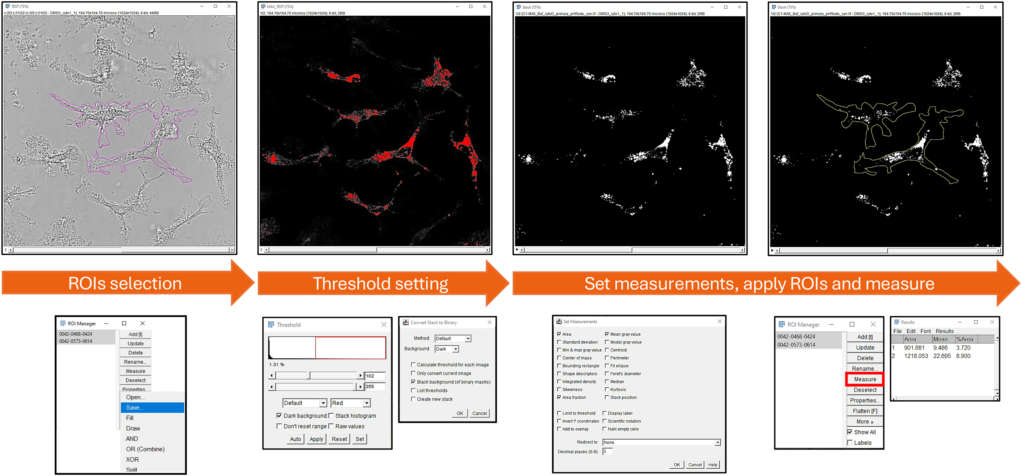 Cell Press: STAR Protocols
