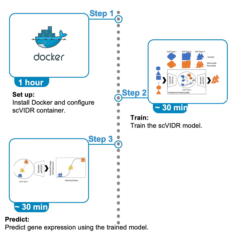 Cell Press: STAR Protocols