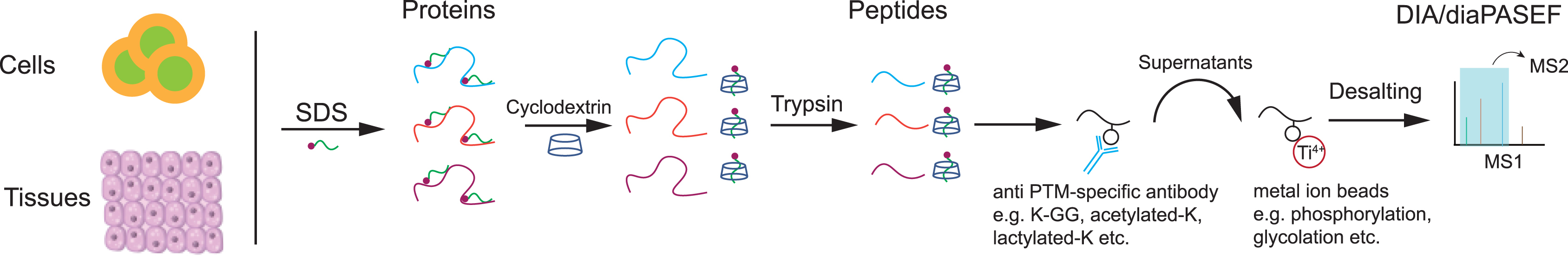 Cell Press: STAR Protocols