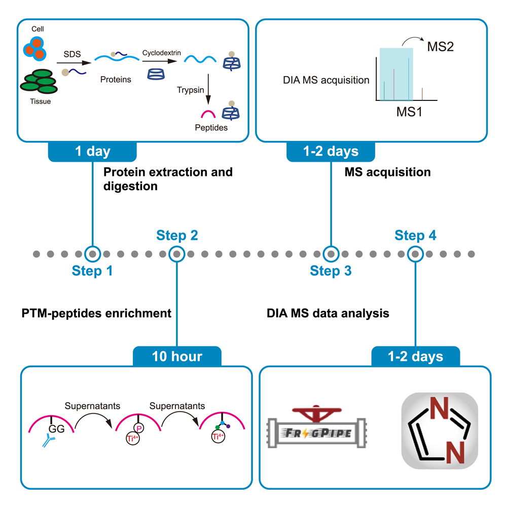 Cell Press: STAR Protocols