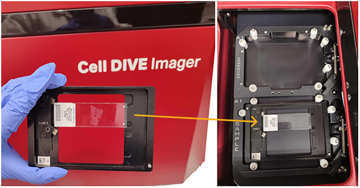 Cell Press: STAR Protocols
