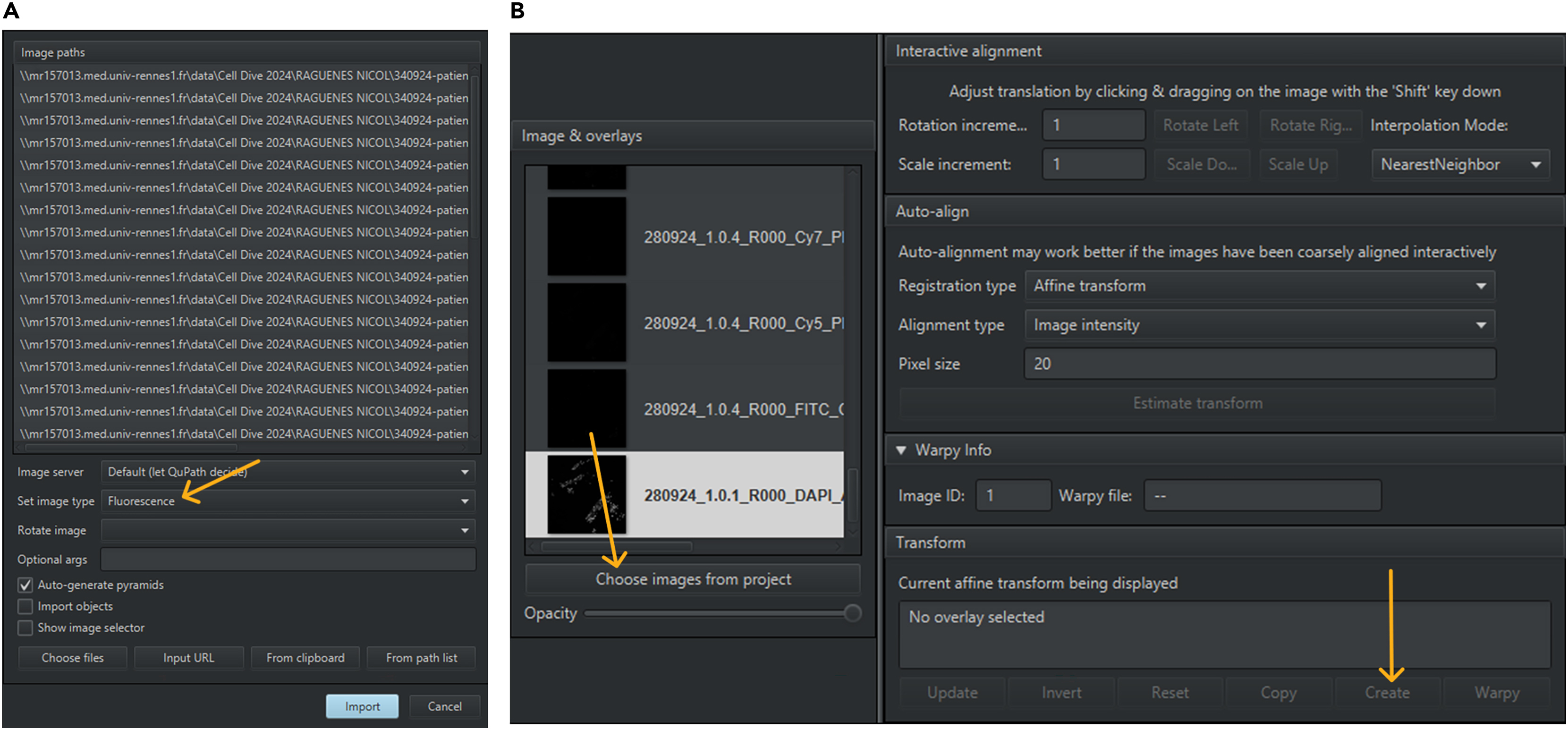 Cell Press: STAR Protocols