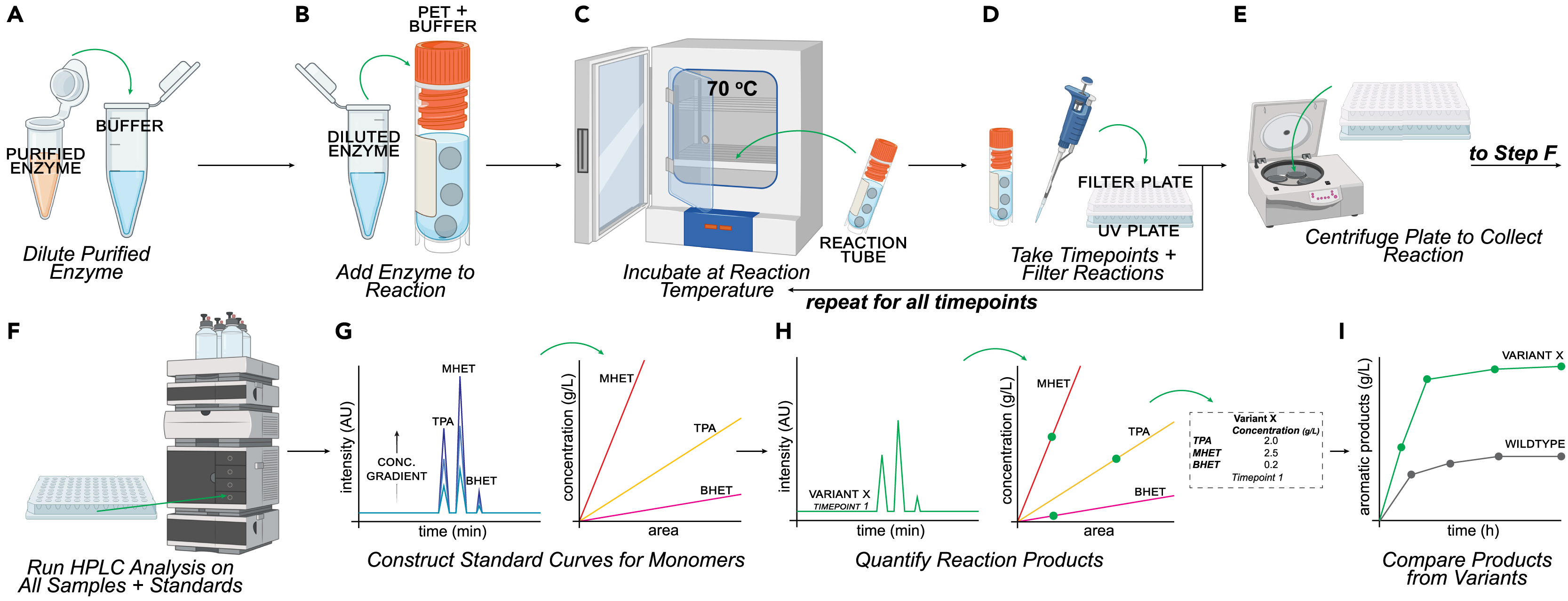 Cell Press: STAR Protocols
