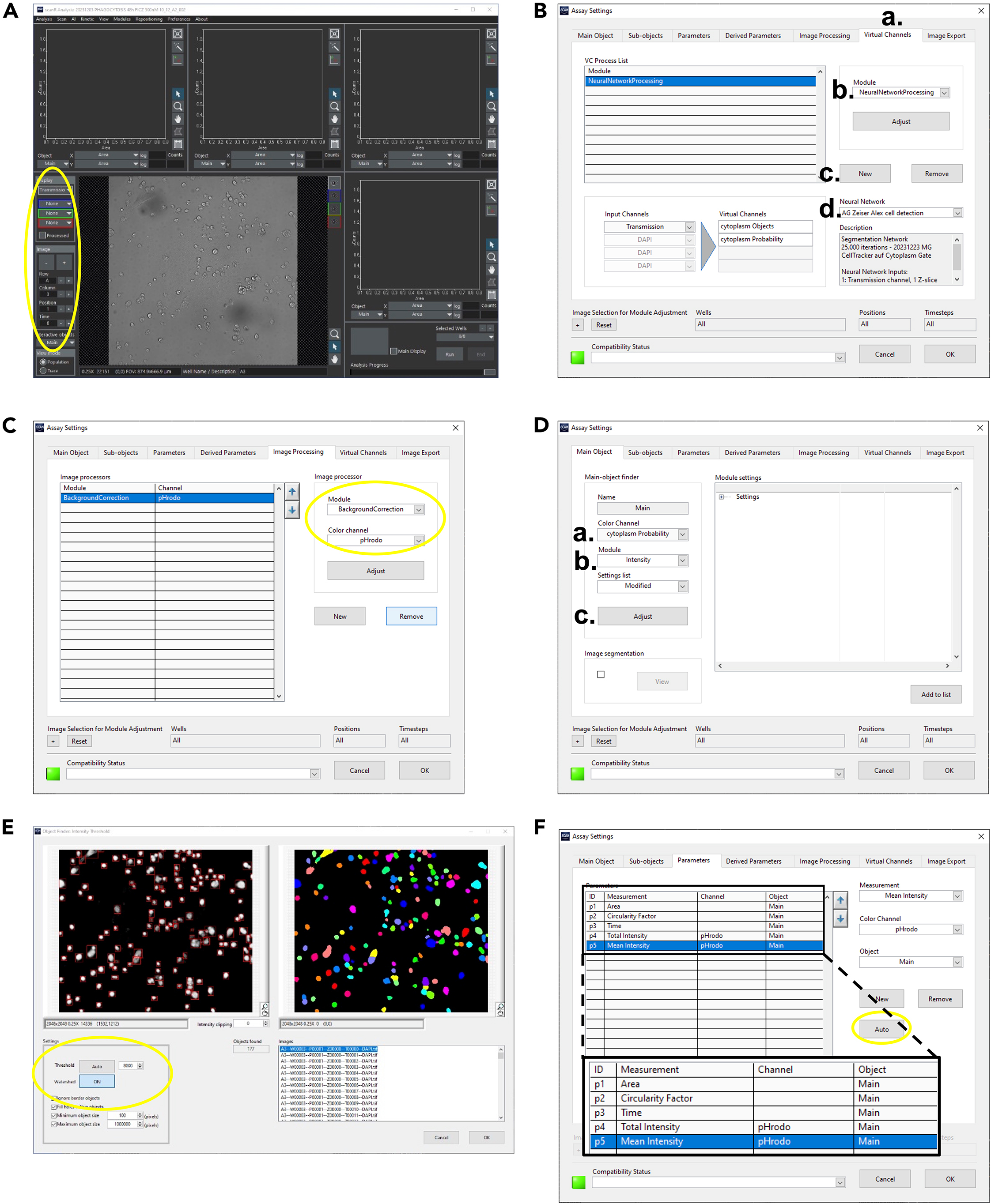 Cell Press: STAR Protocols