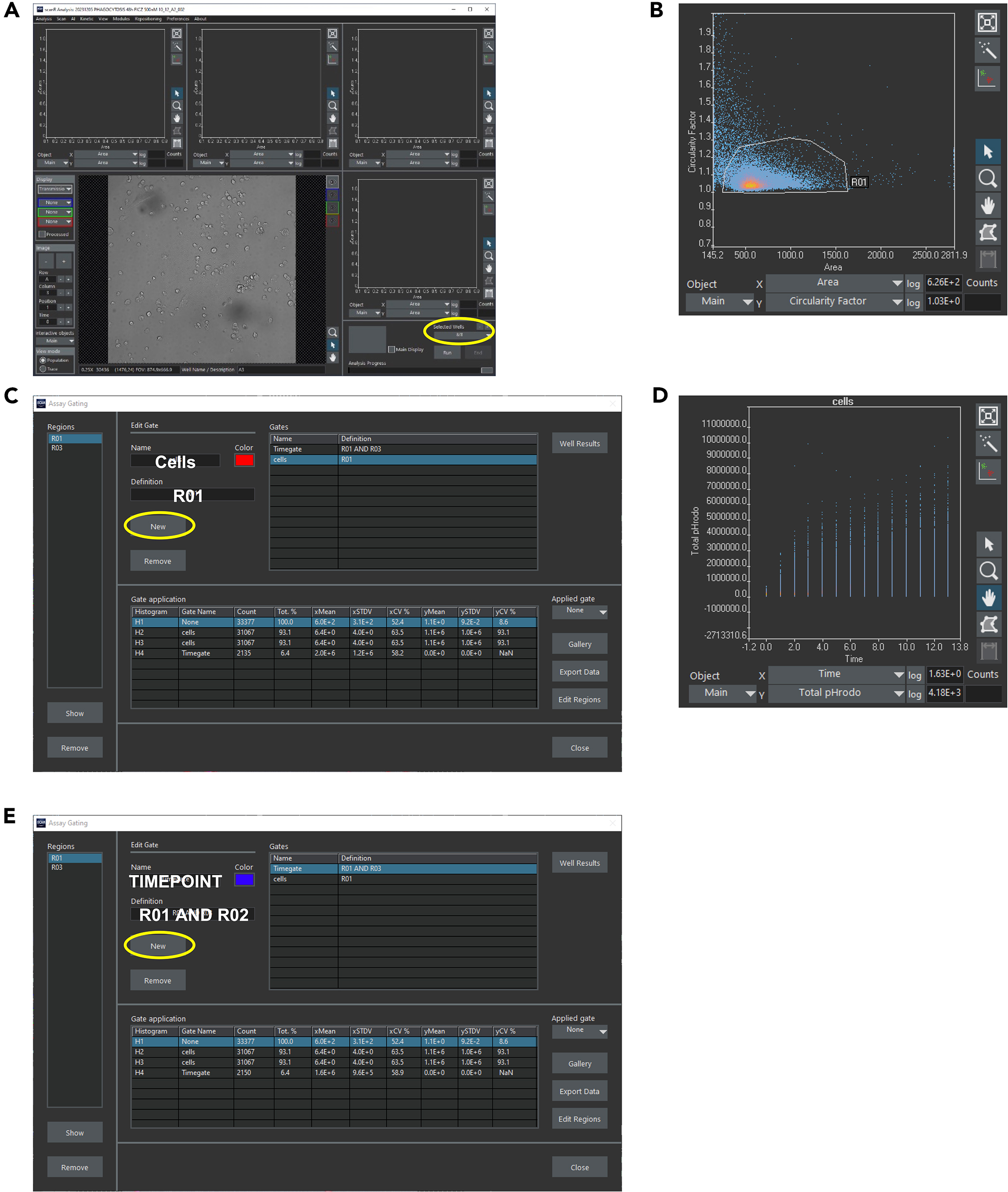 Cell Press: STAR Protocols