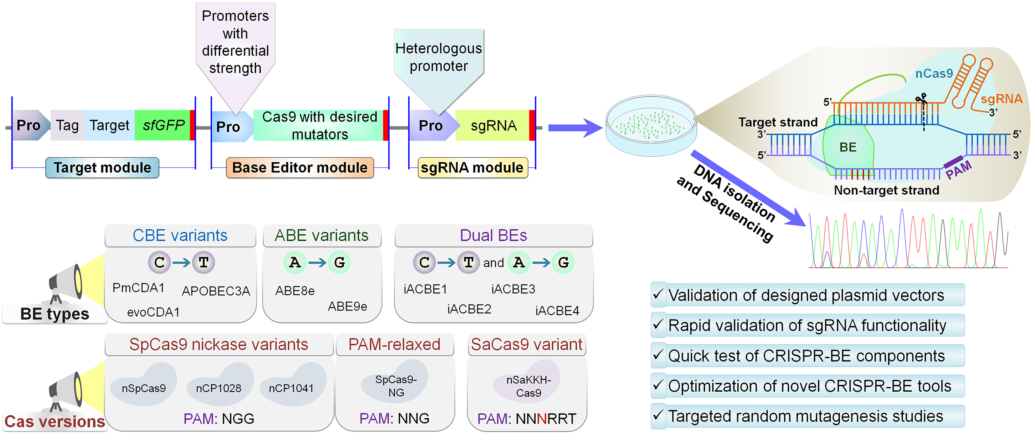Cell Press: STAR Protocols