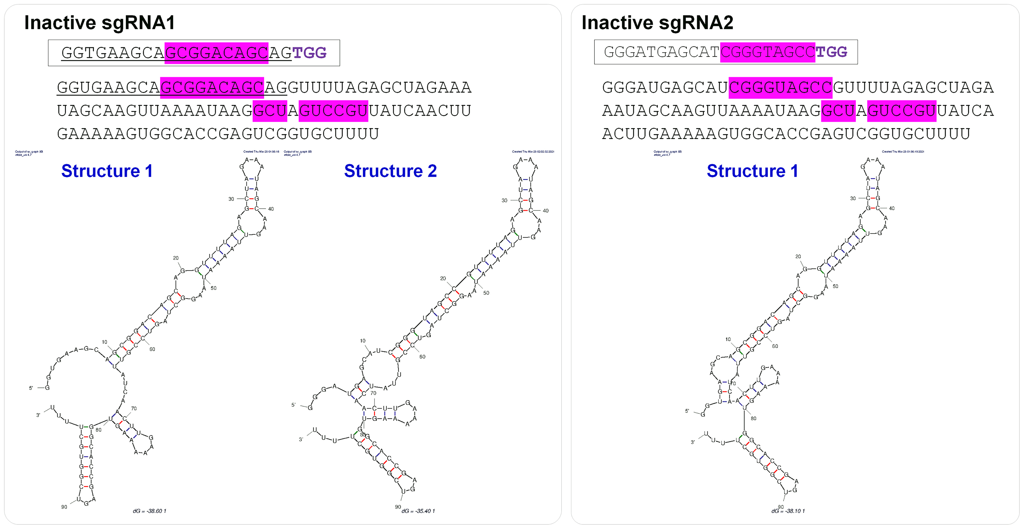 Cell Press: STAR Protocols