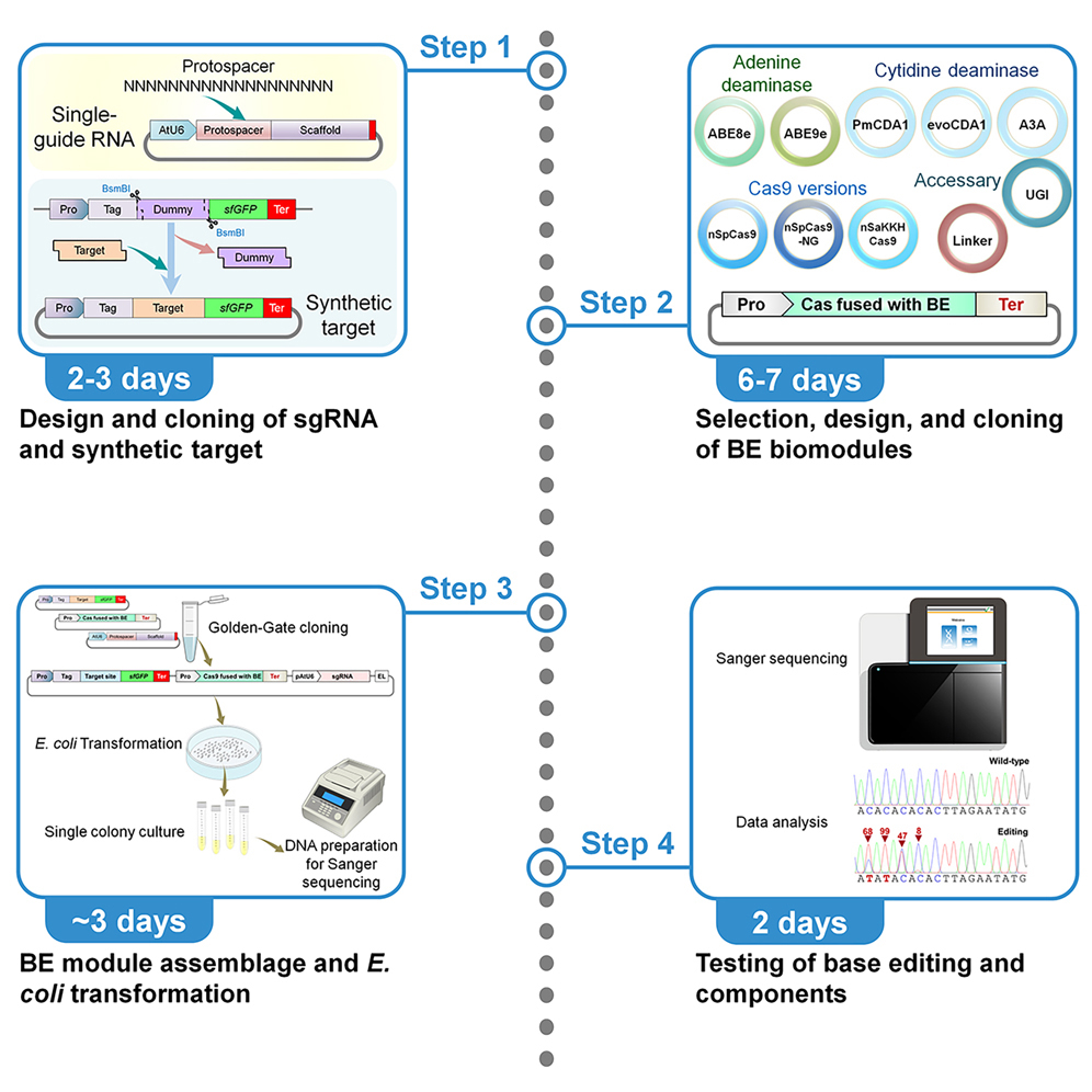 Cell Press: STAR Protocols