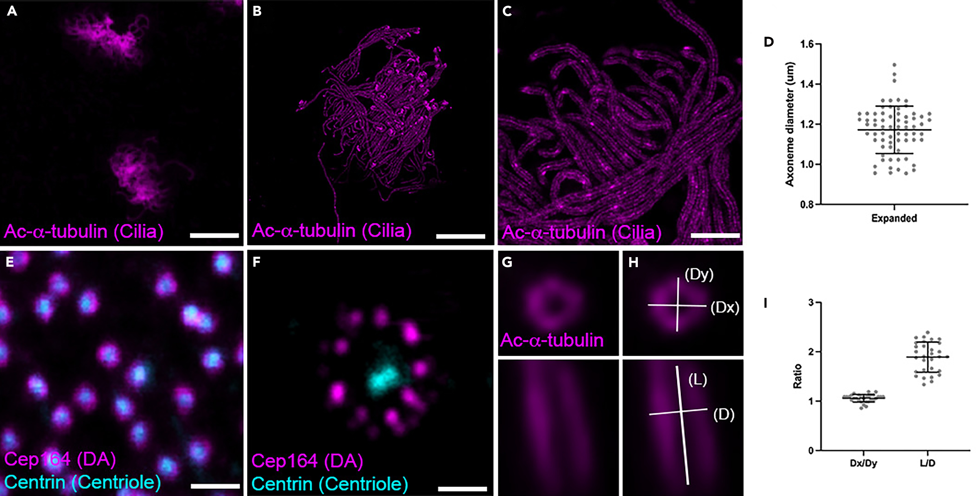 Cell Press: STAR Protocols