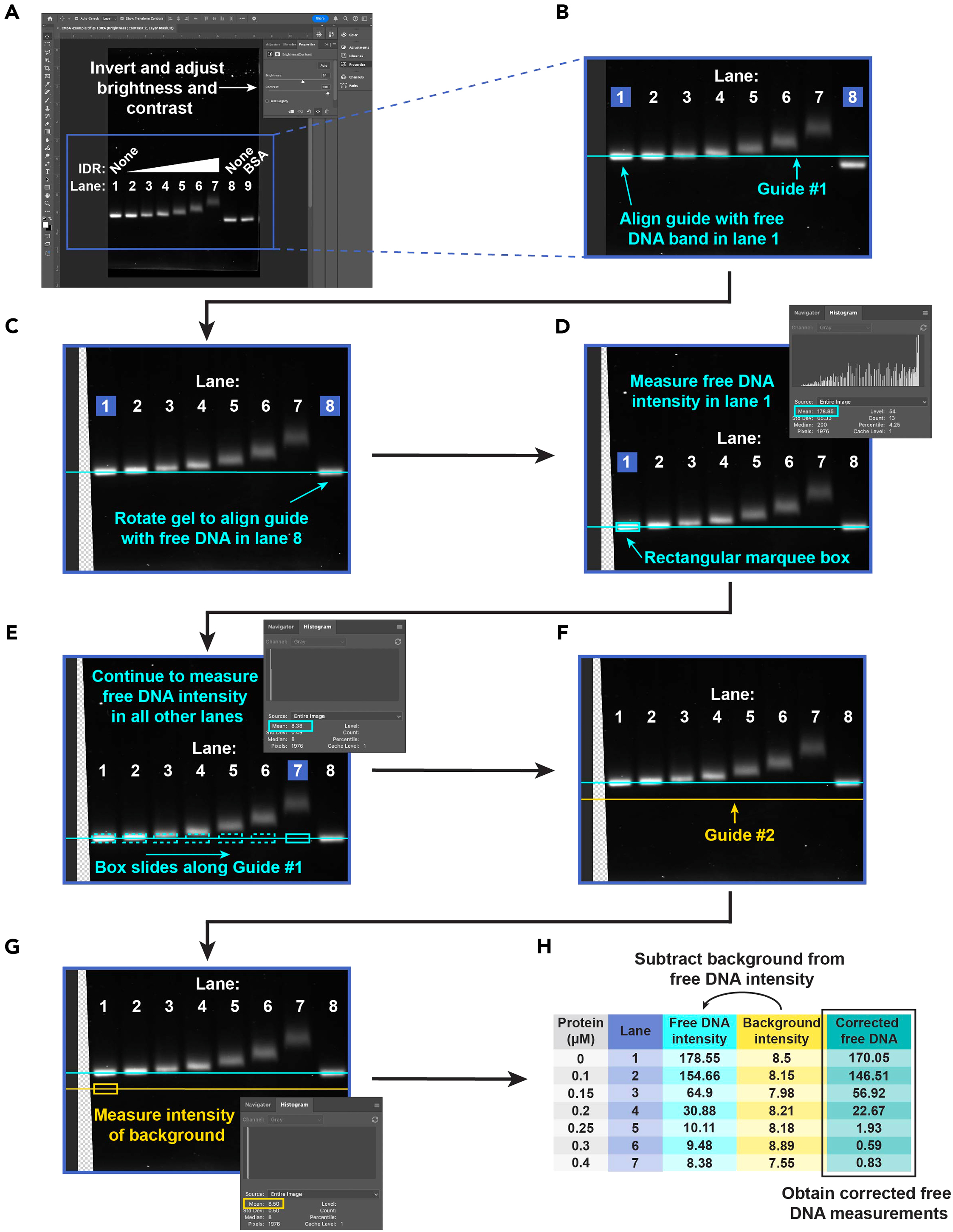 Cell Press: STAR Protocols