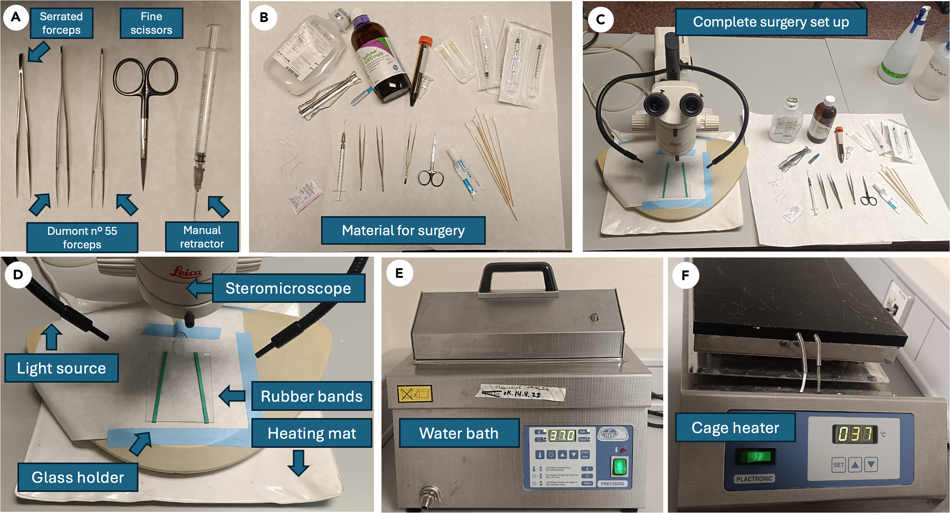 Cell Press: STAR Protocols