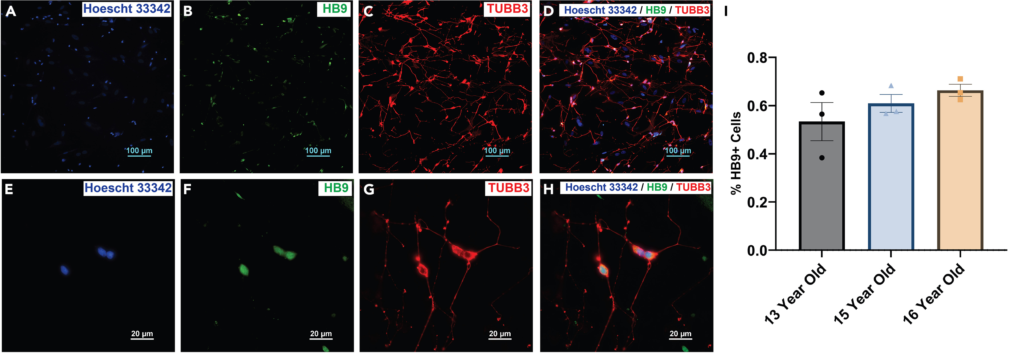 Cell Press: STAR Protocols
