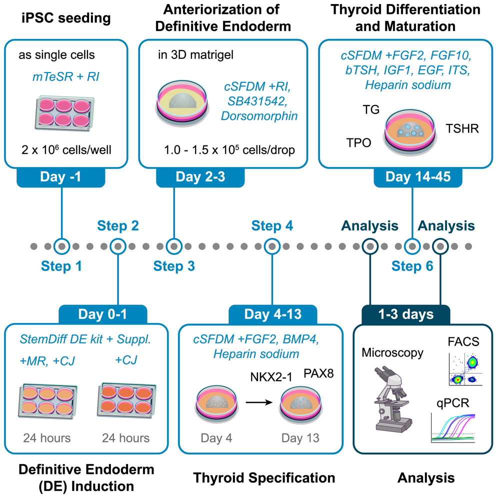 Cell Press: STAR Protocols