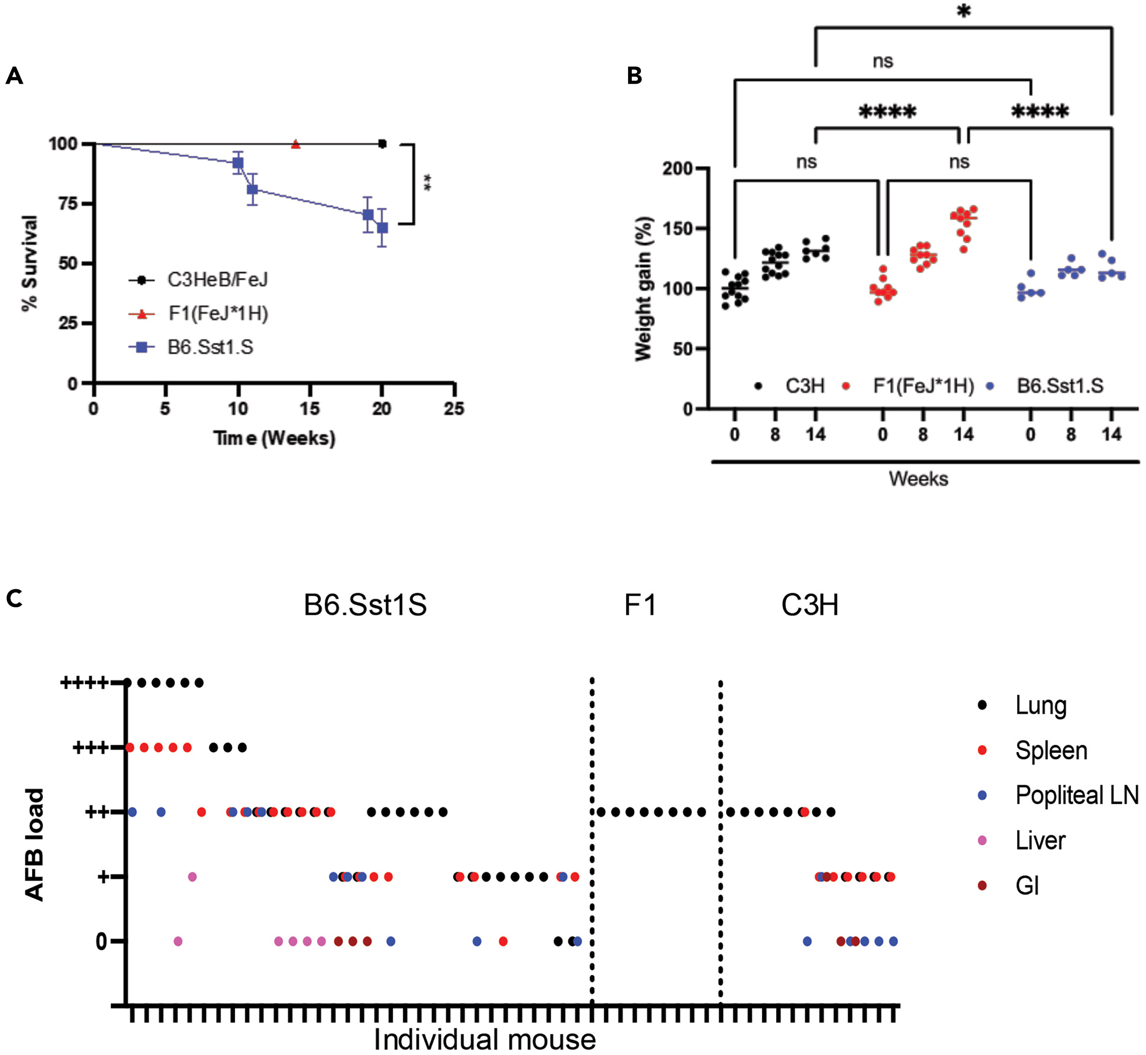 Cell Press: STAR Protocols