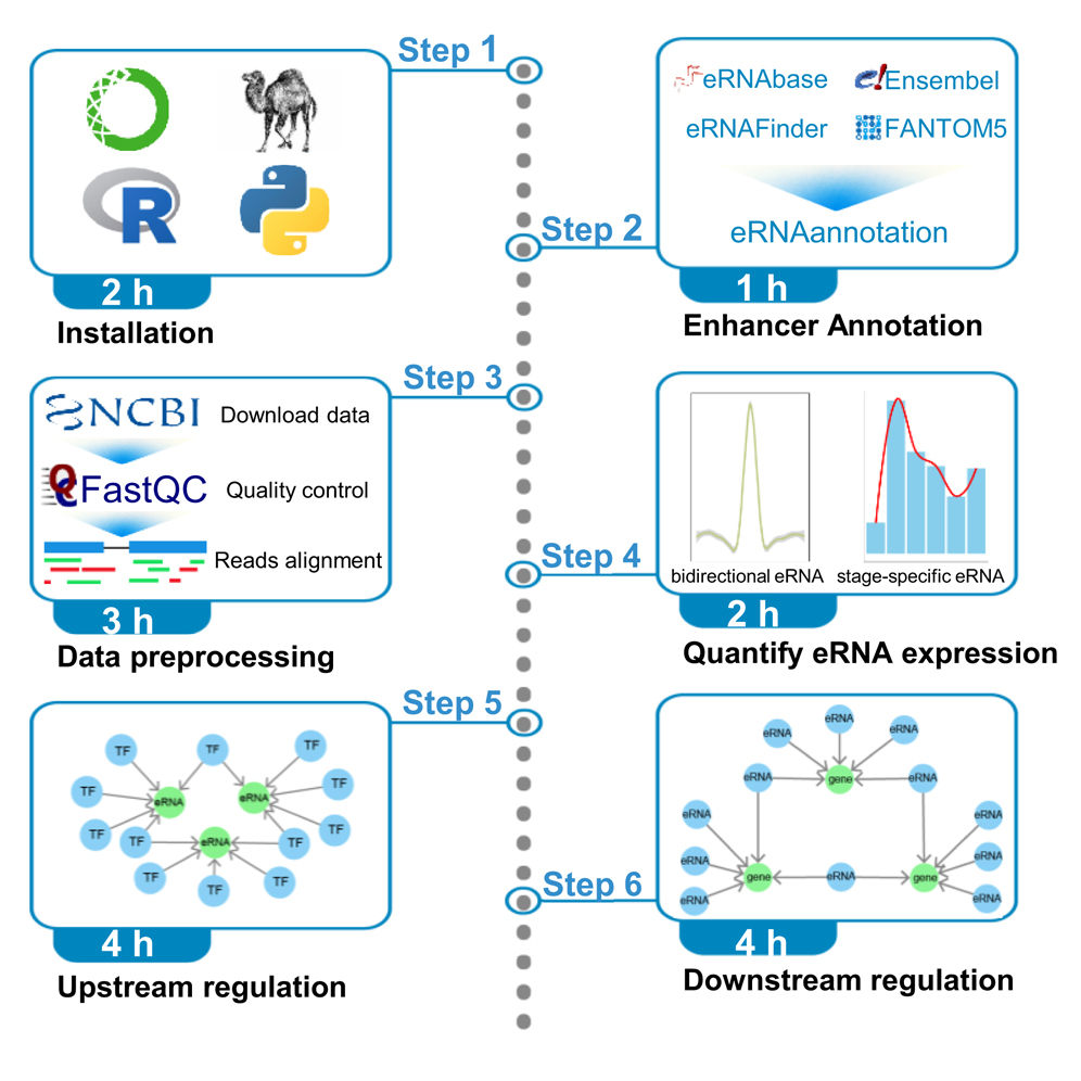 Cell Press: STAR Protocols