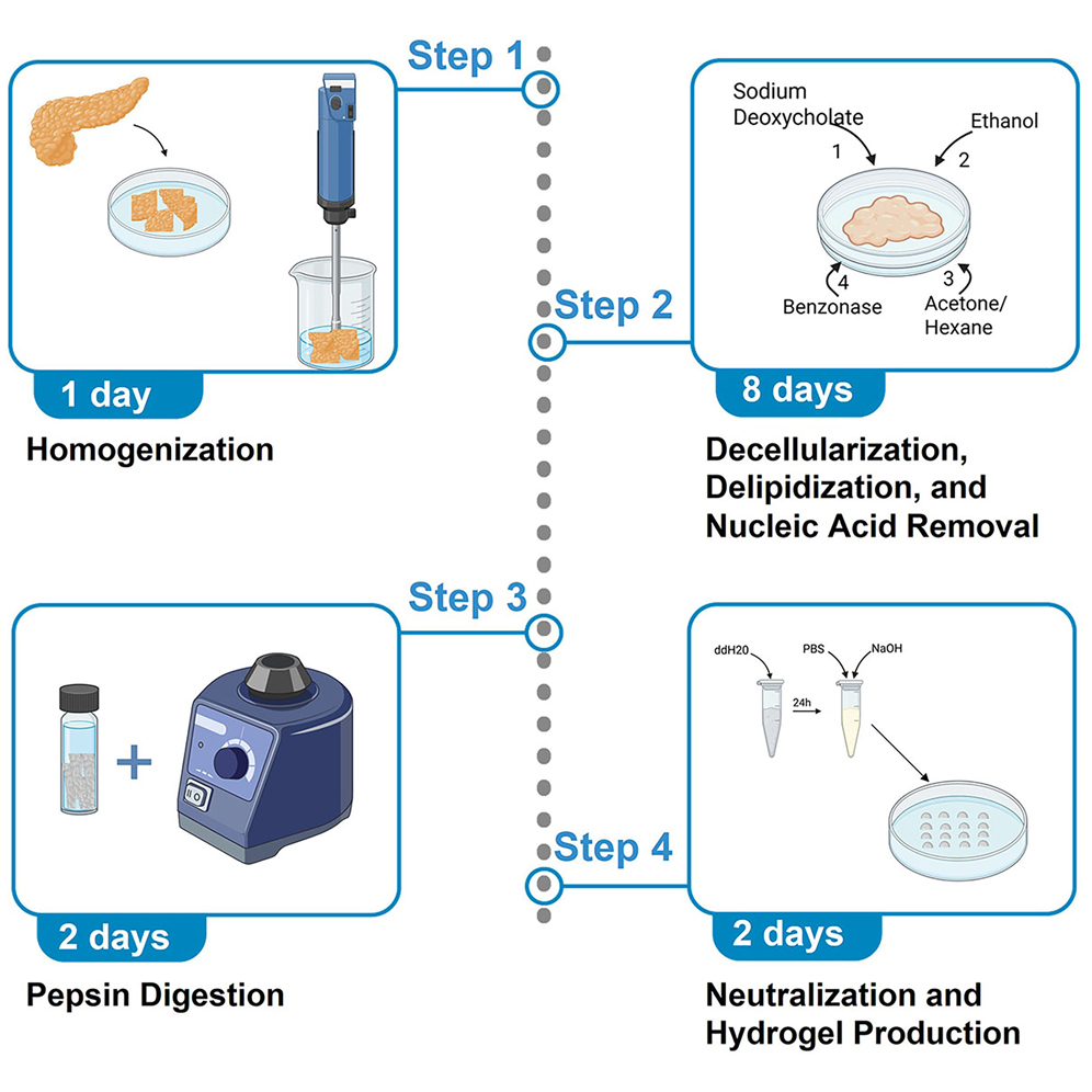 Cell Press: STAR Protocols