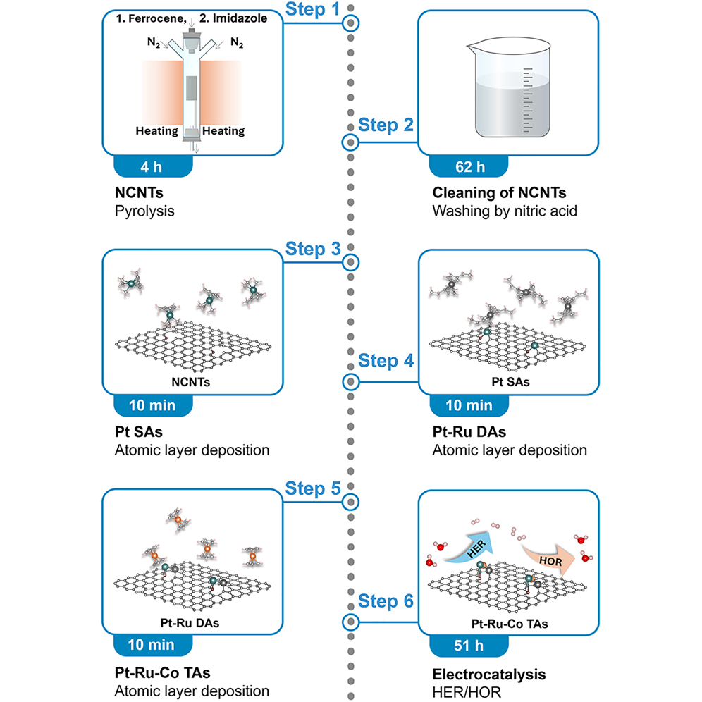 Cell Press: STAR Protocols
