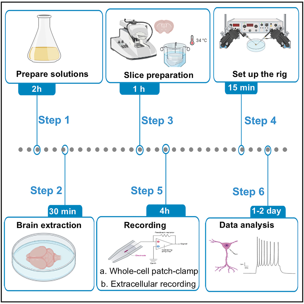 Cell Press: STAR Protocols