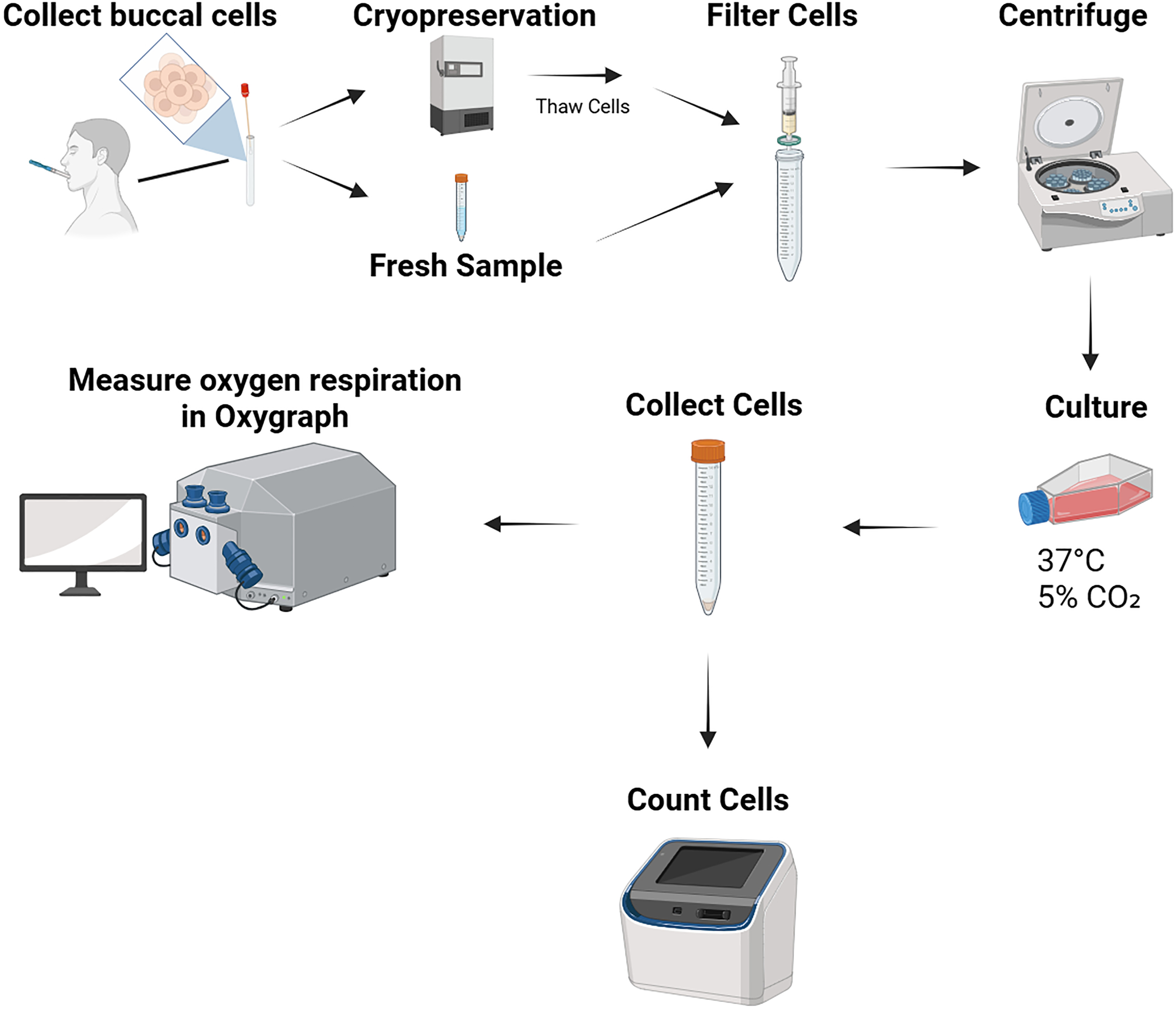 Cell Press: STAR Protocols