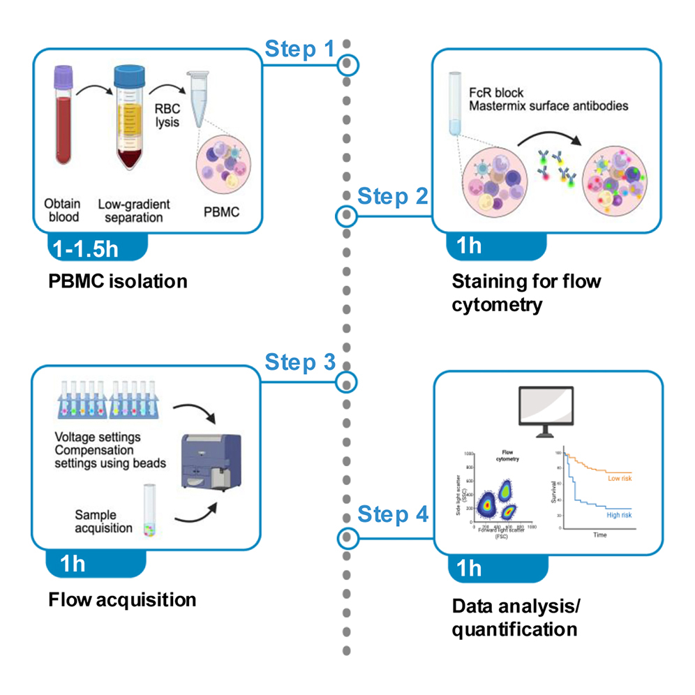 Cell Press: STAR Protocols