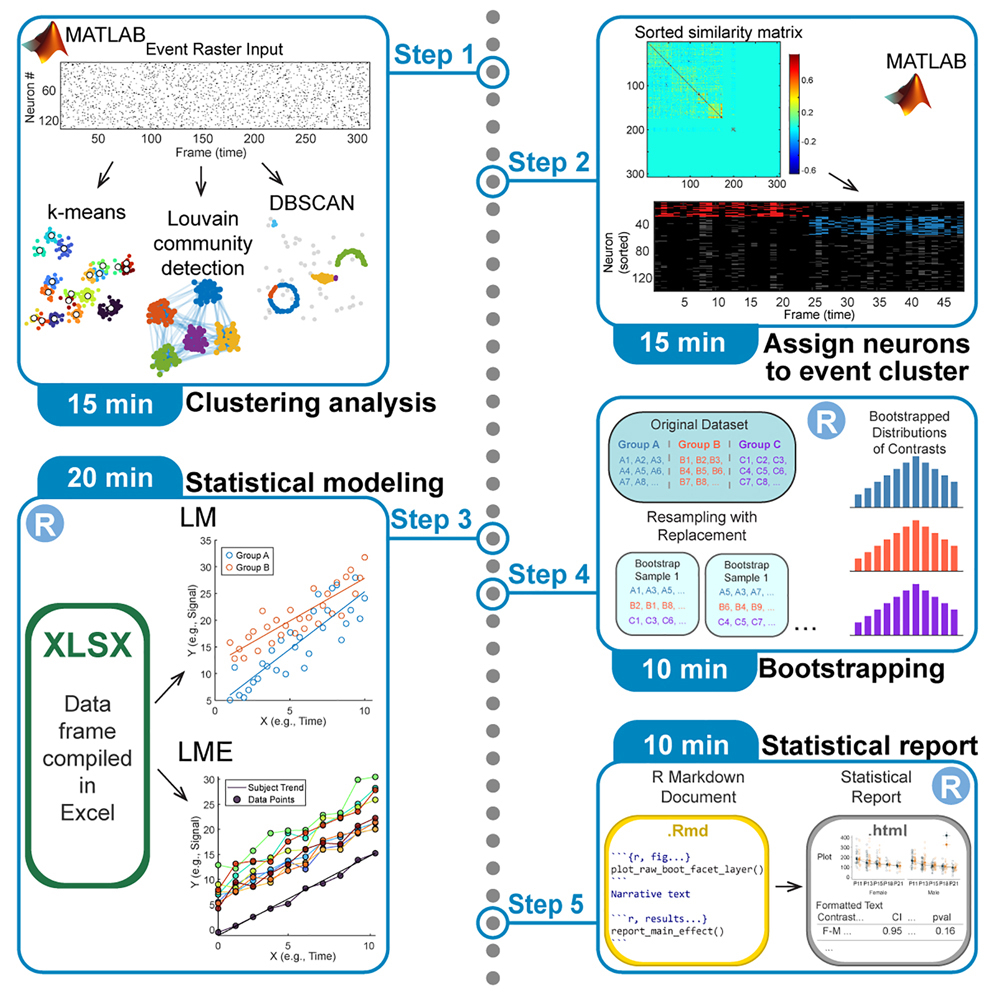 Cell Press: STAR Protocols