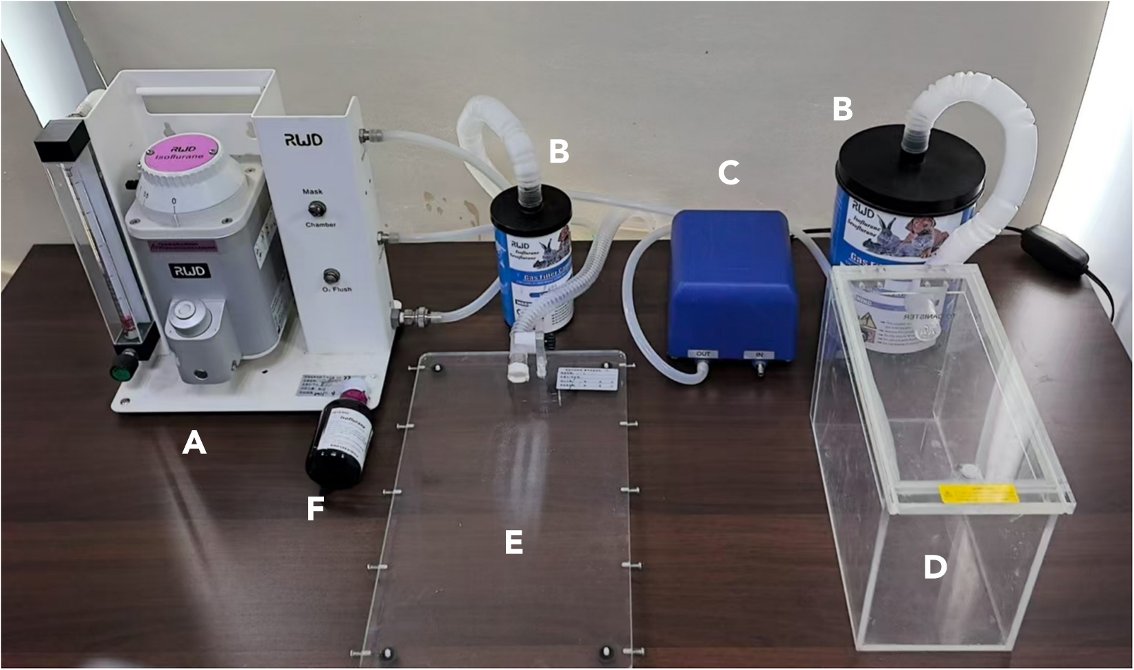 Cell Press: STAR Protocols
