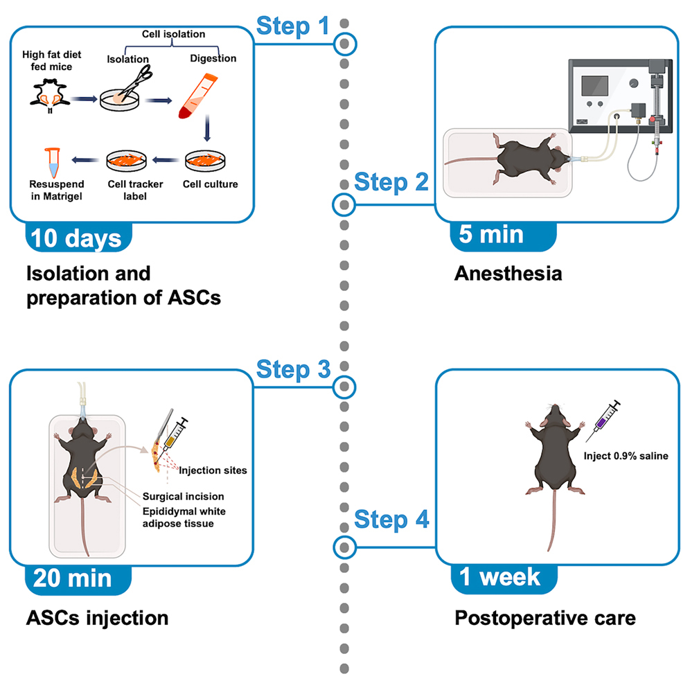 Cell Press: STAR Protocols