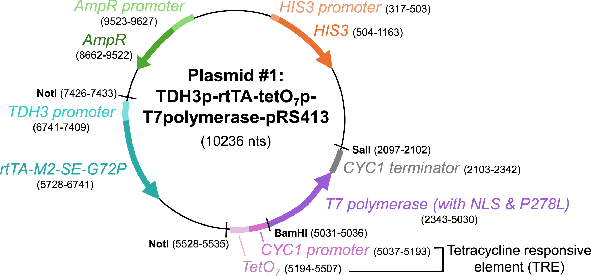 Cell Press: STAR Protocols