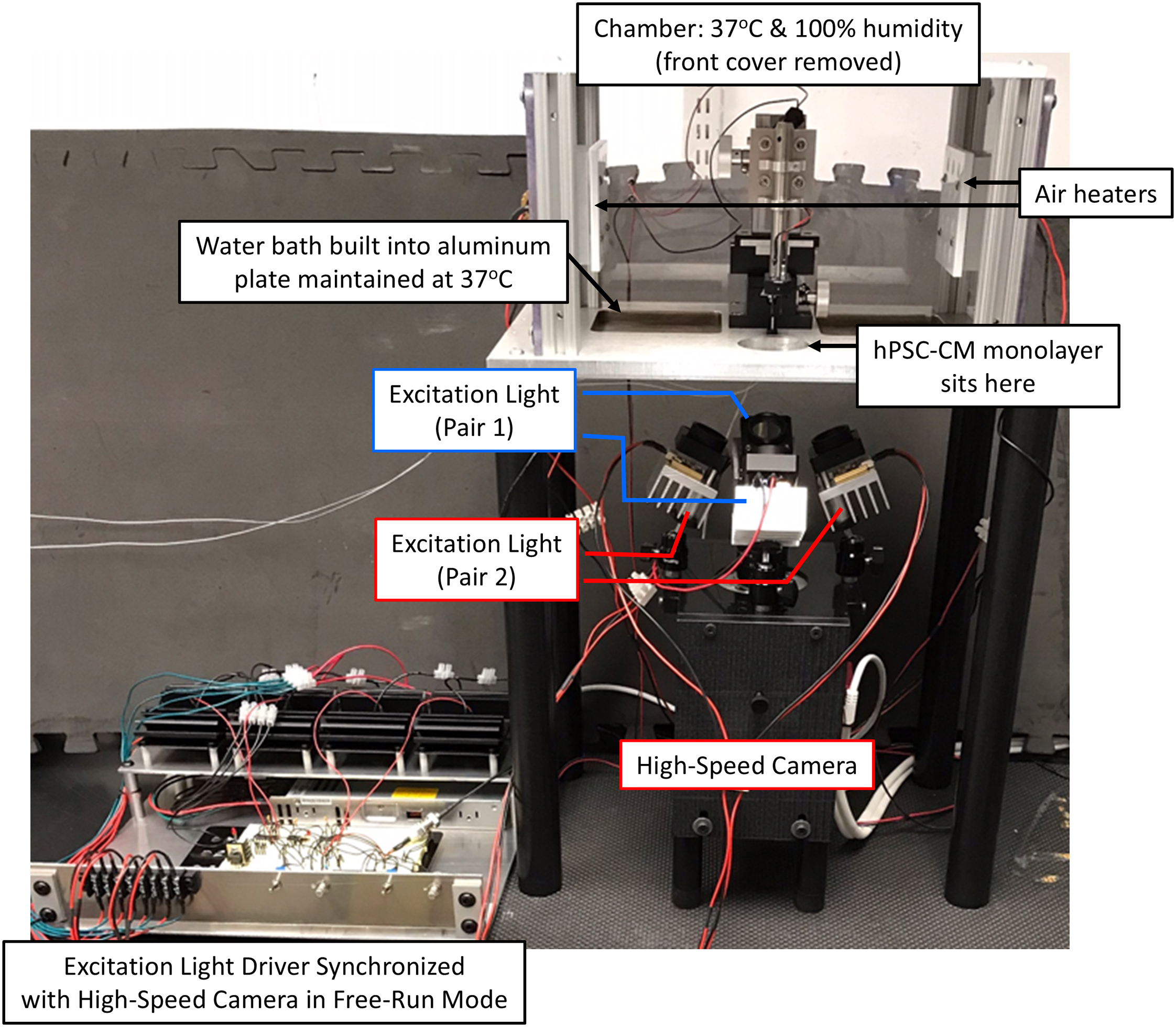 Cell Press: STAR Protocols
